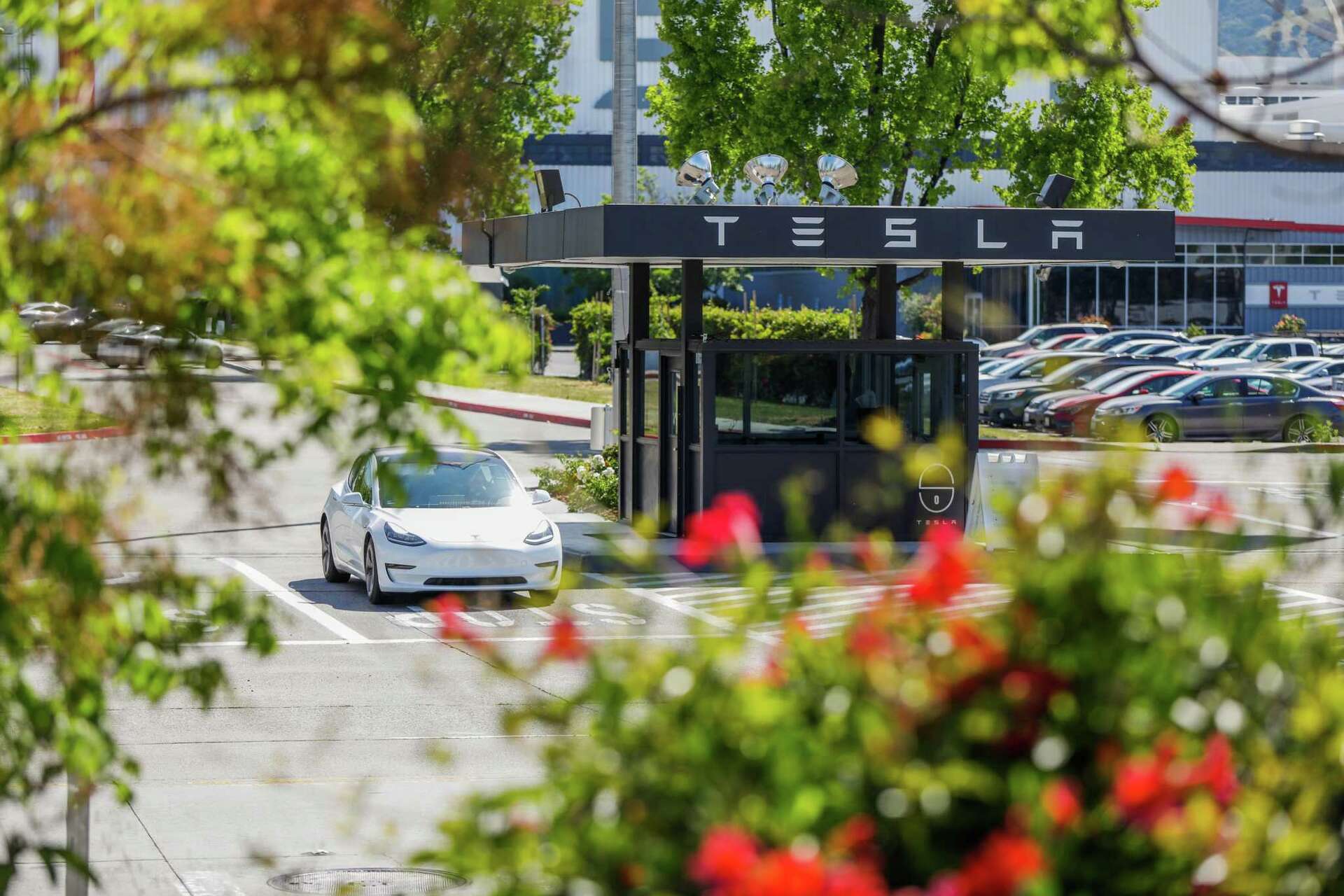 Gavin Newsom says Tesla owes its success to California subsidies