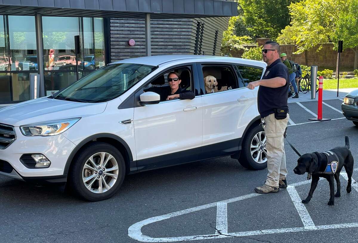 Yale police therapy dog a 'trendsetter' for law enforcement