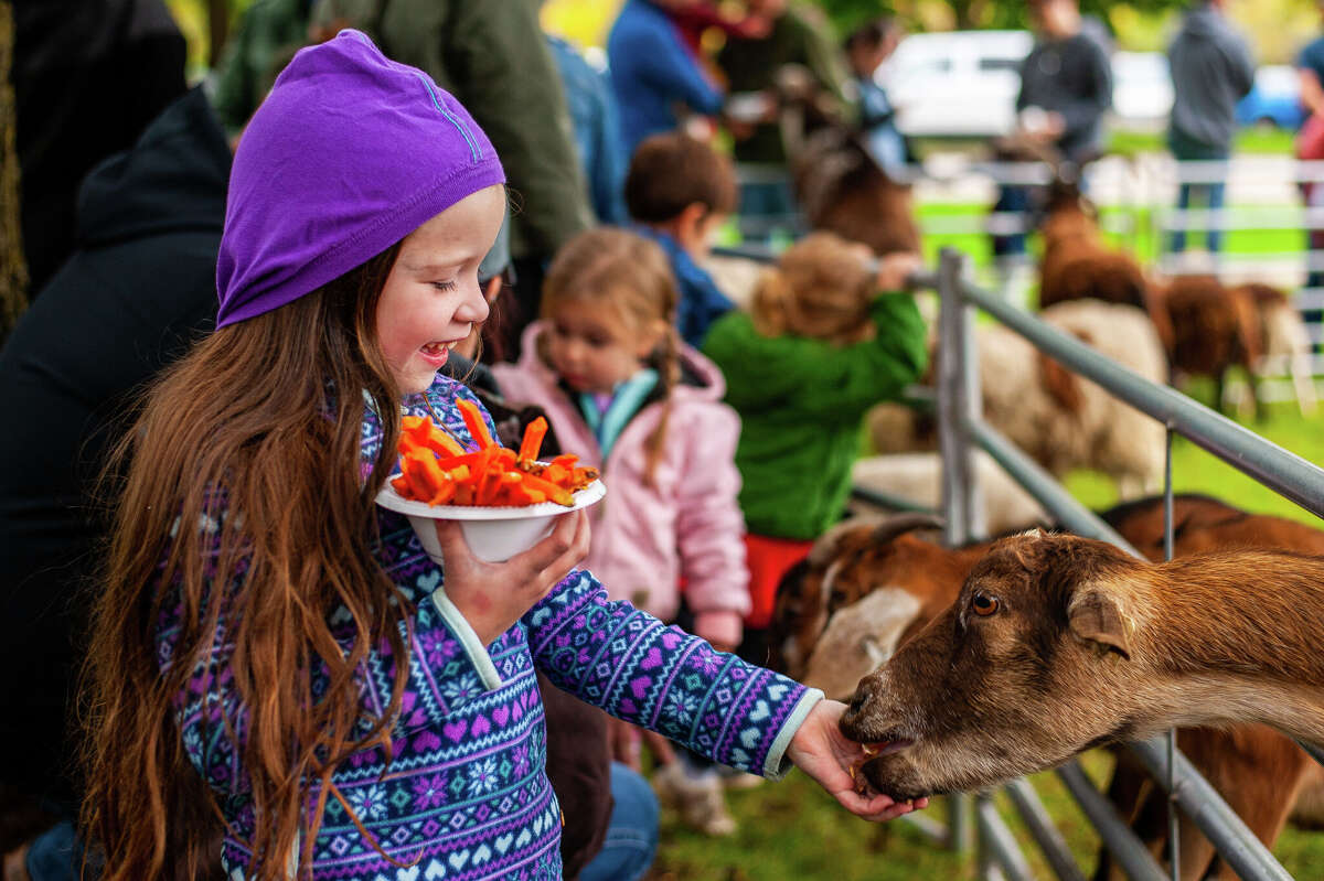 SEEN: Feeding goats and drinking floats at the library