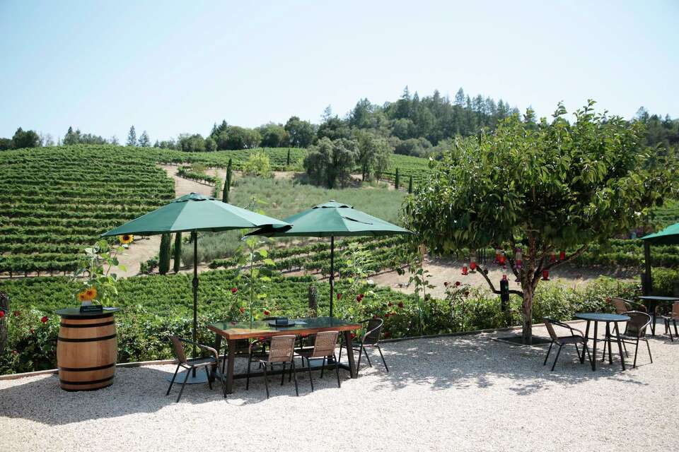 Best Napa and Sonoma wine tastings for $30 and under