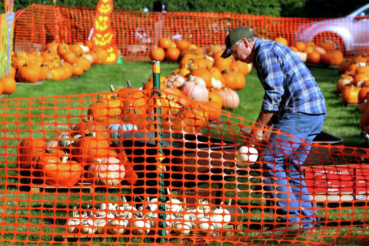Stamford's St. John's Lutheran Church holds annual pumpkin patch for ...