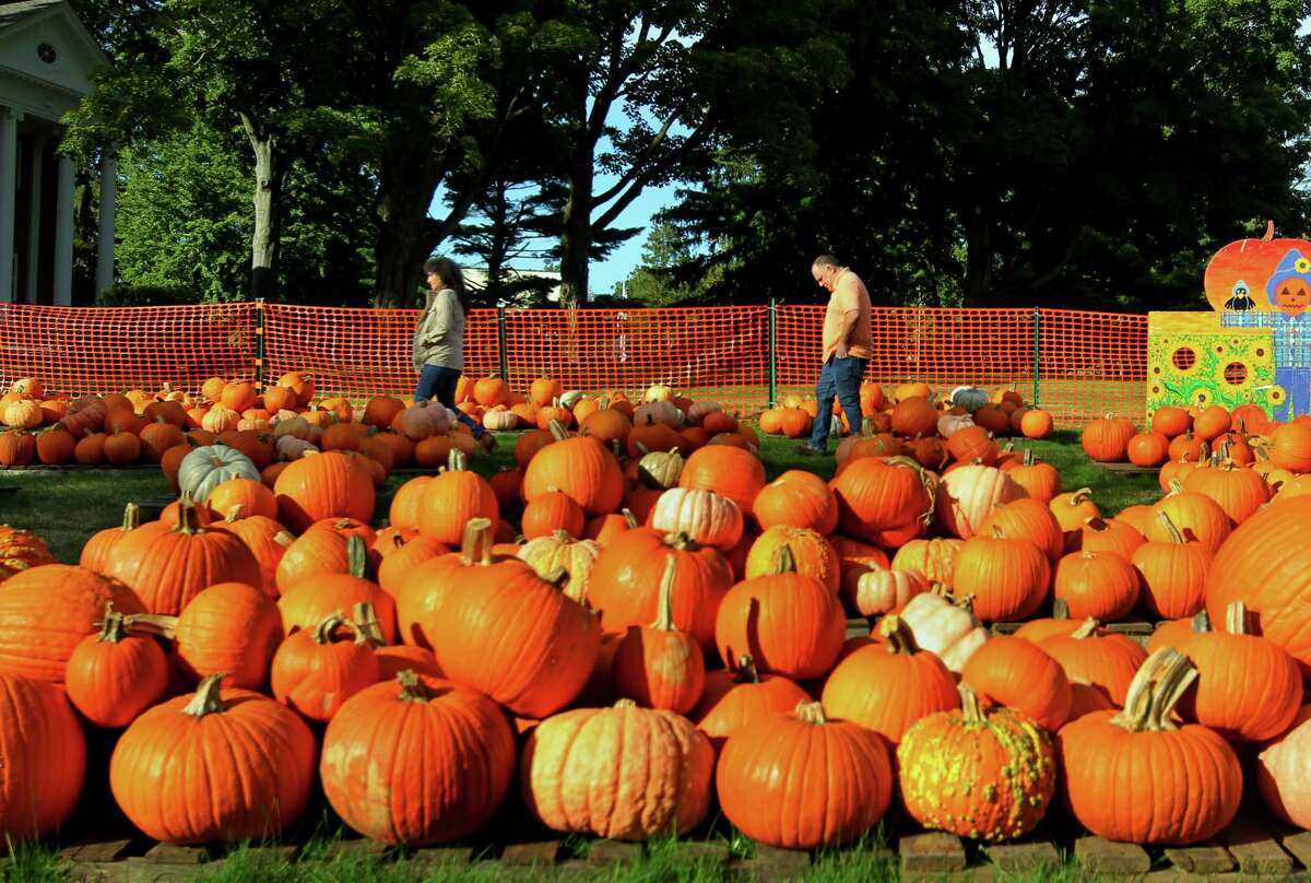 Stamford's St. John's Lutheran Church holds annual pumpkin patch for charity