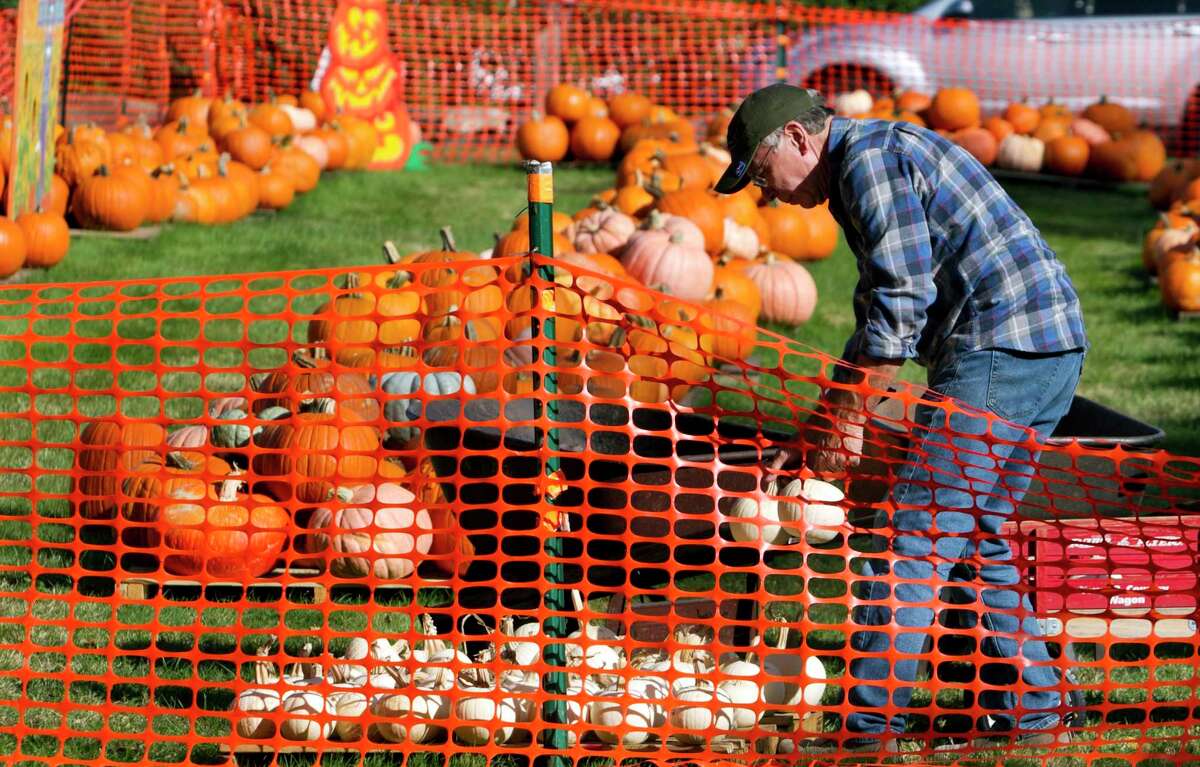 Stamford's St. John's Lutheran Church holds annual pumpkin patch for charity