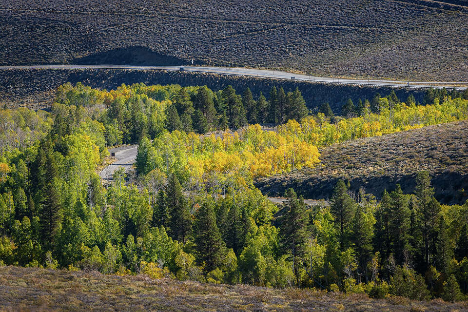 15 of the best places to see fall leaves near the Bay Area