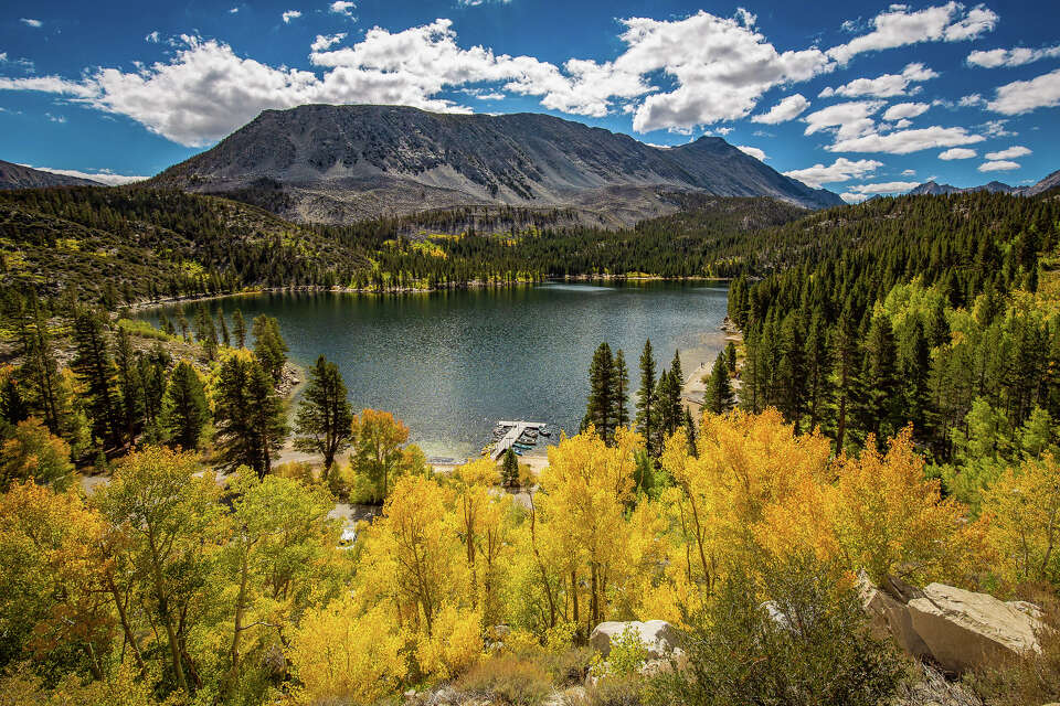 15 of the best places to see fall leaves near the Bay Area