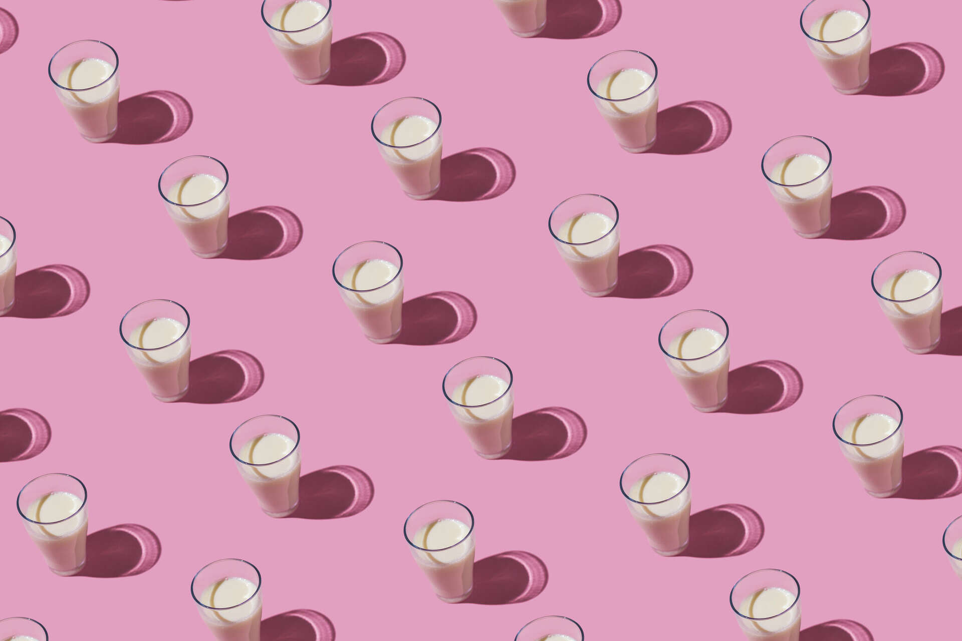 What is the difference between whole milk vs. 2 percent milk?