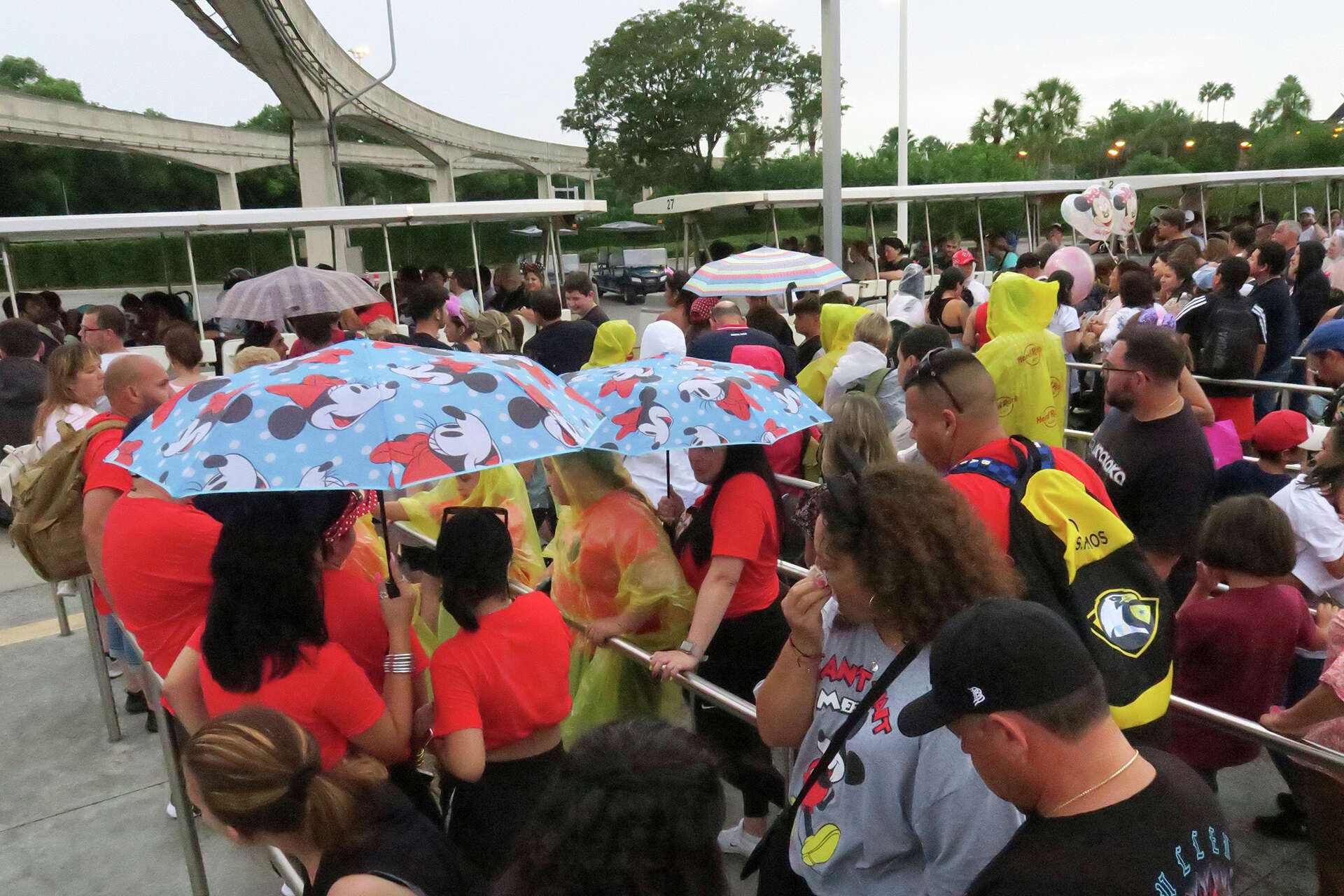 Anger as Disney vloggers posted Hurricane Ian content