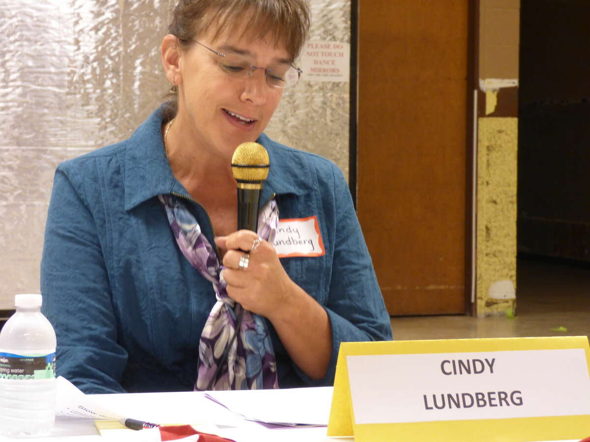 Manistee candidates point to blight, housing, deer cull as issues