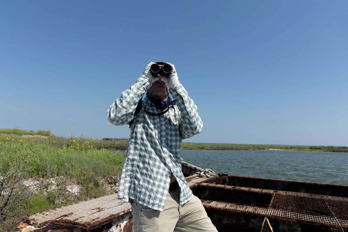 Birds endangered as sea rises and gulf islands erode