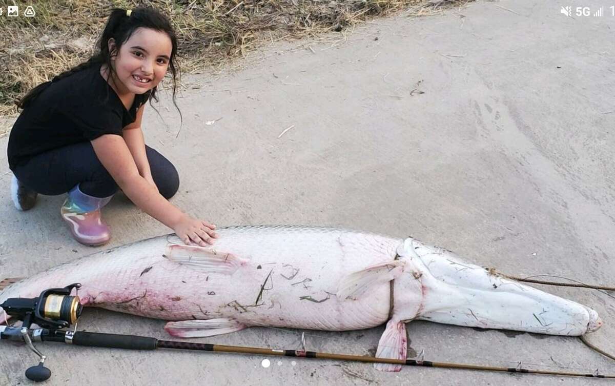 Alligator gar season in Texas: How to safely catch and release