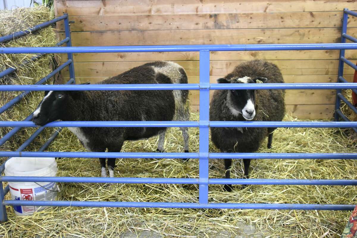 Harwinton Fair held for 165th year