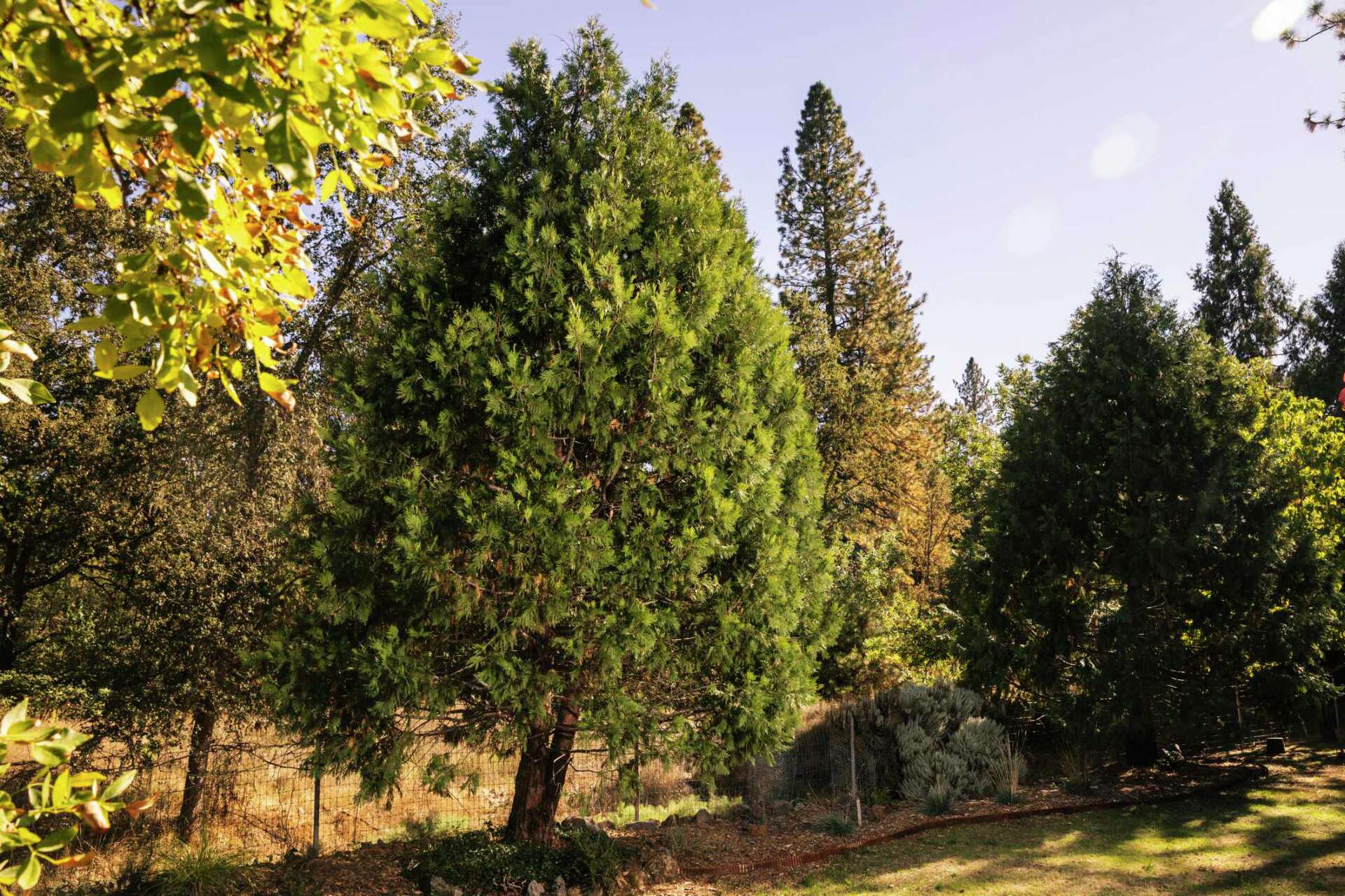 ‘Human composting’ is coming to California. It could revolutionize how ...