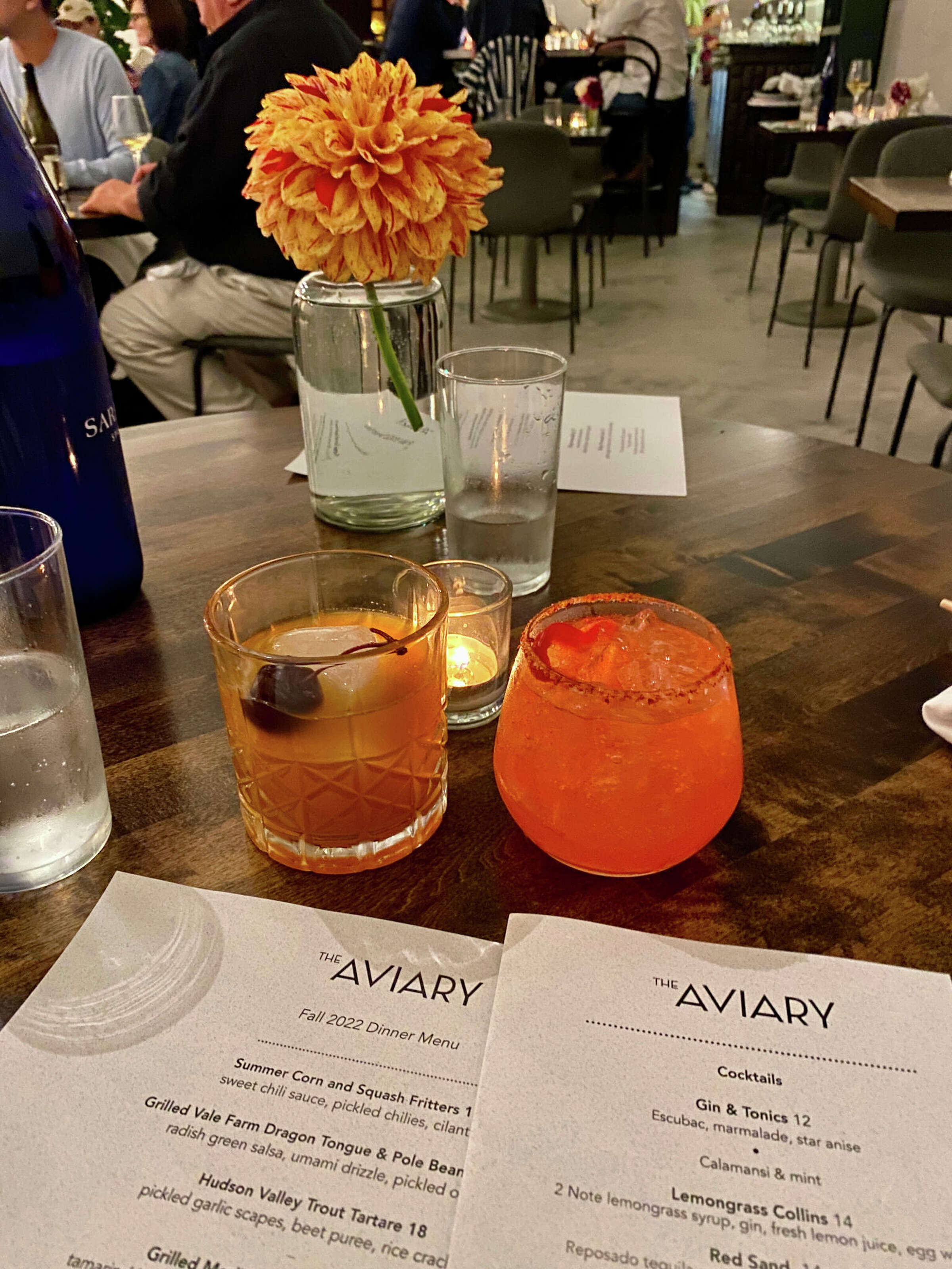 Restaurant review: Casually sophisticated Aviary takes flight in Kinderhook