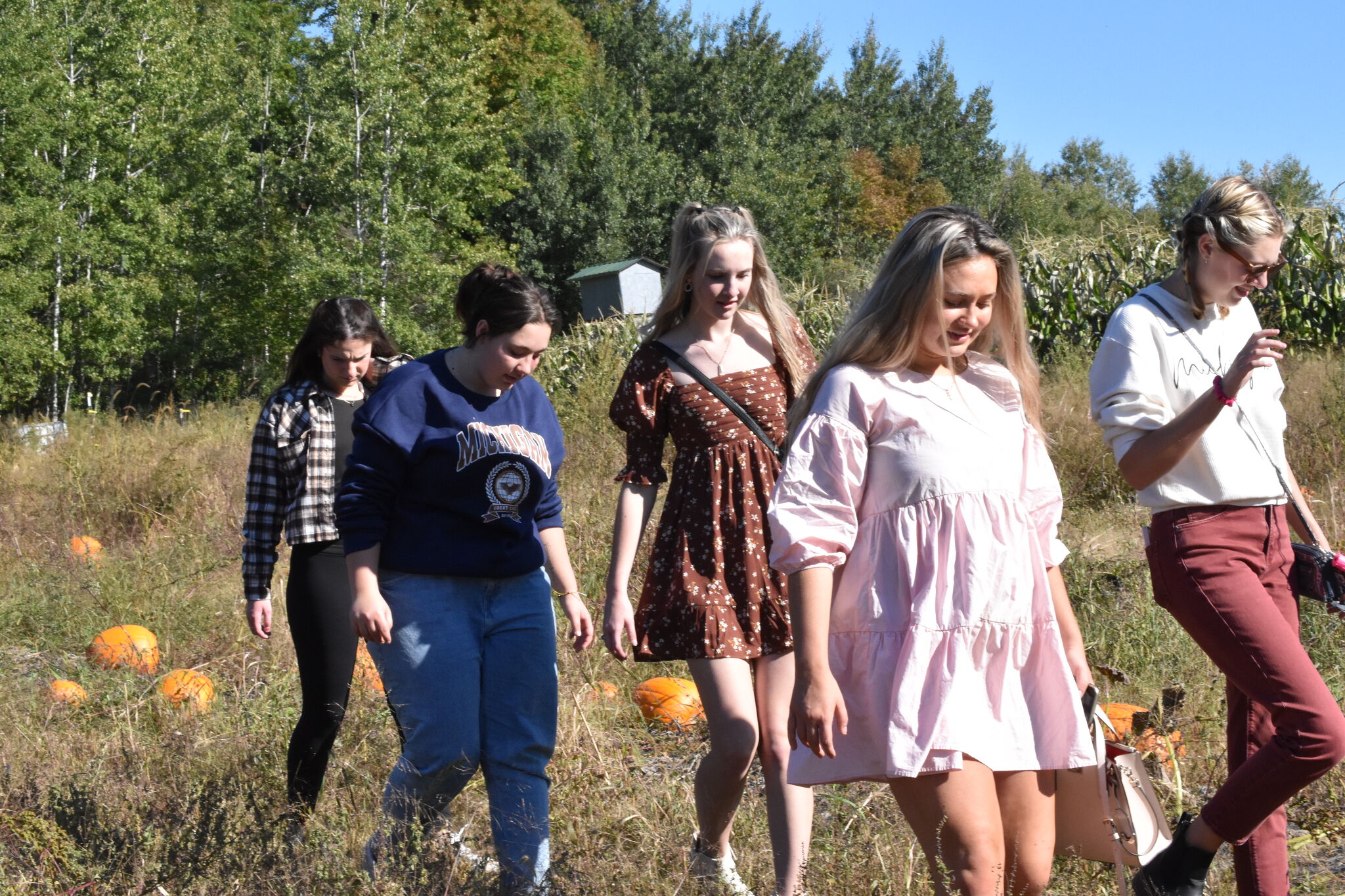 PHOTOS: An afternoon at Four Green Fields Farm in Big Rapids