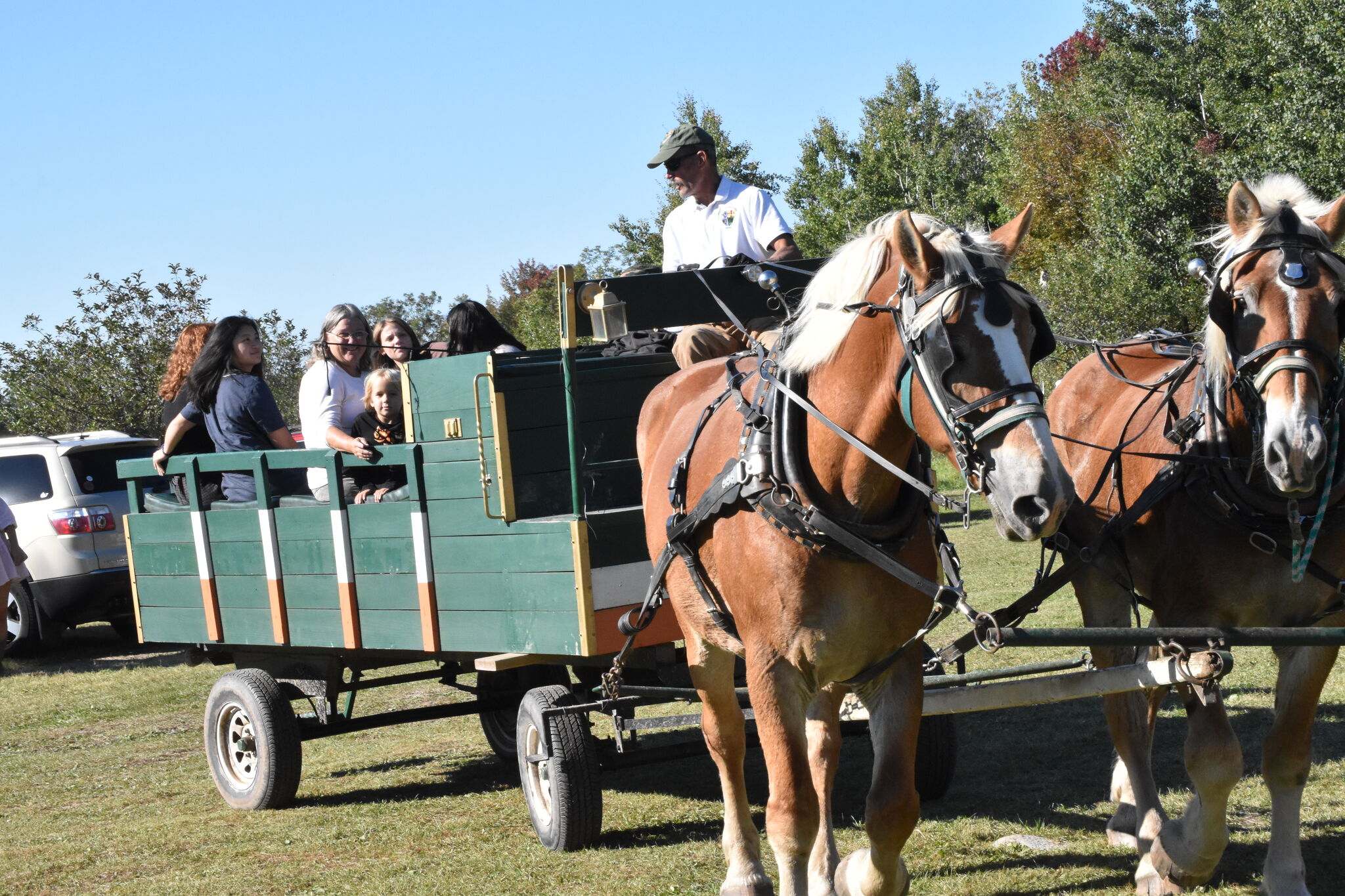 Four Green Fields Farm in Rodney is opening for the season
