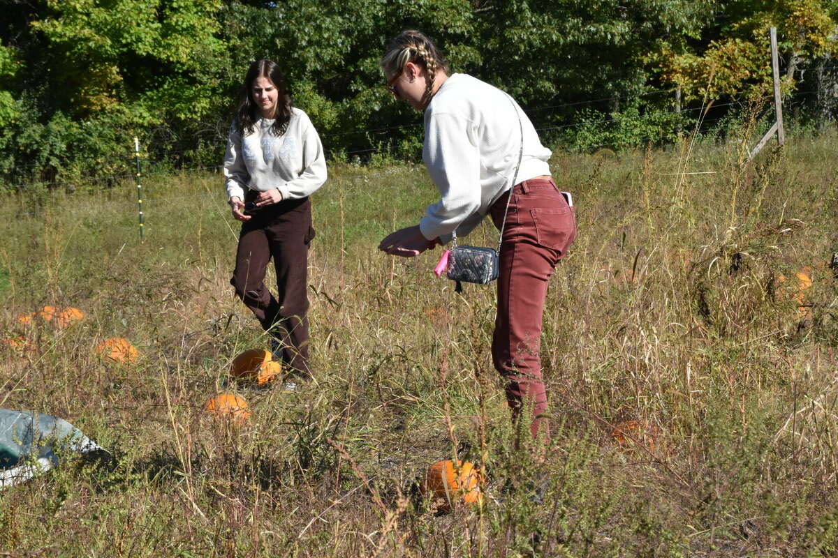 PHOTOS: An afternoon at Four Green Fields Farm in Big Rapids