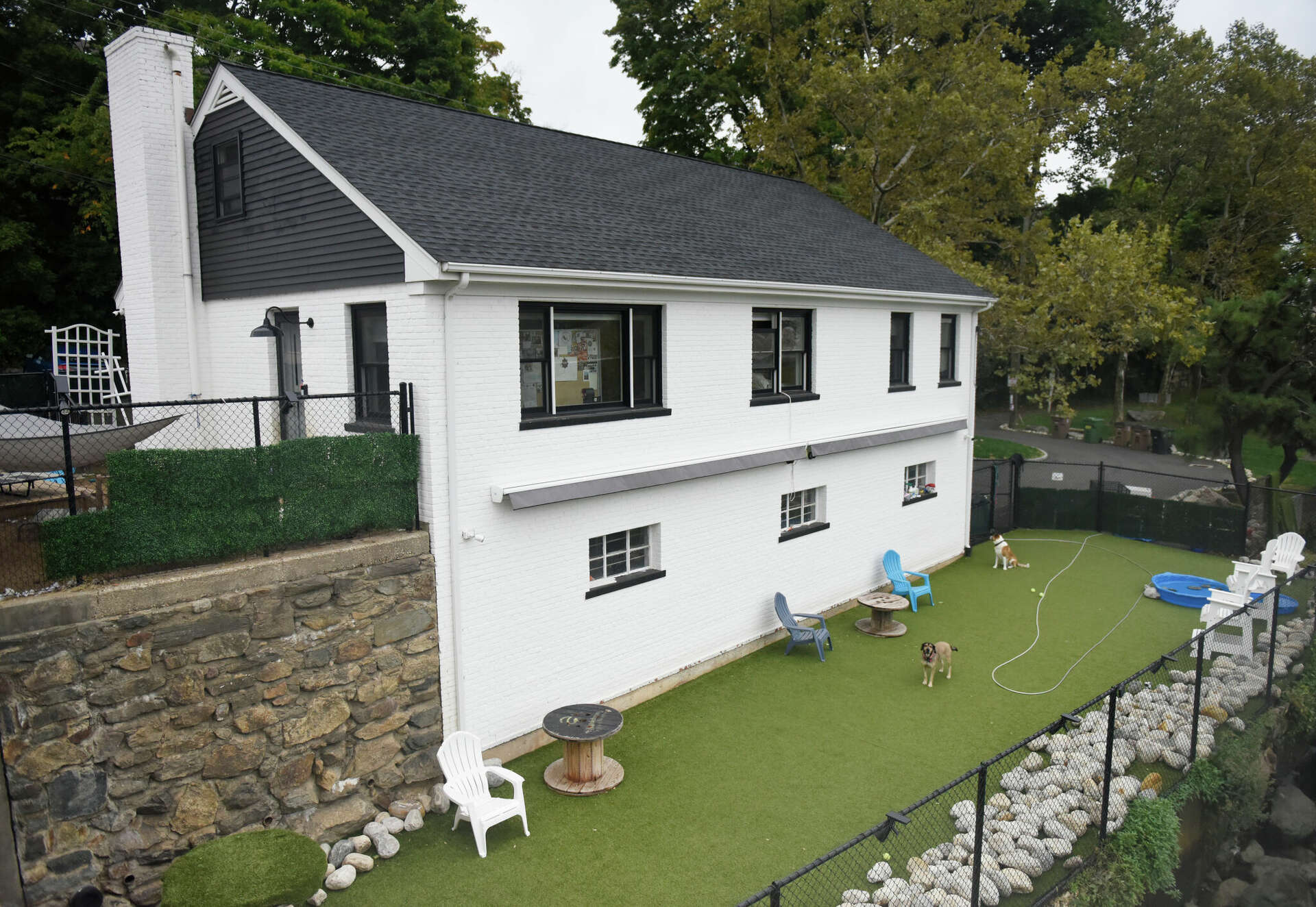 Lucky Dog in Stamford rescue offers 'safe haven' for dogs