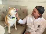 SF has a fine-dining restaurant for dogs with $75 tasting menu