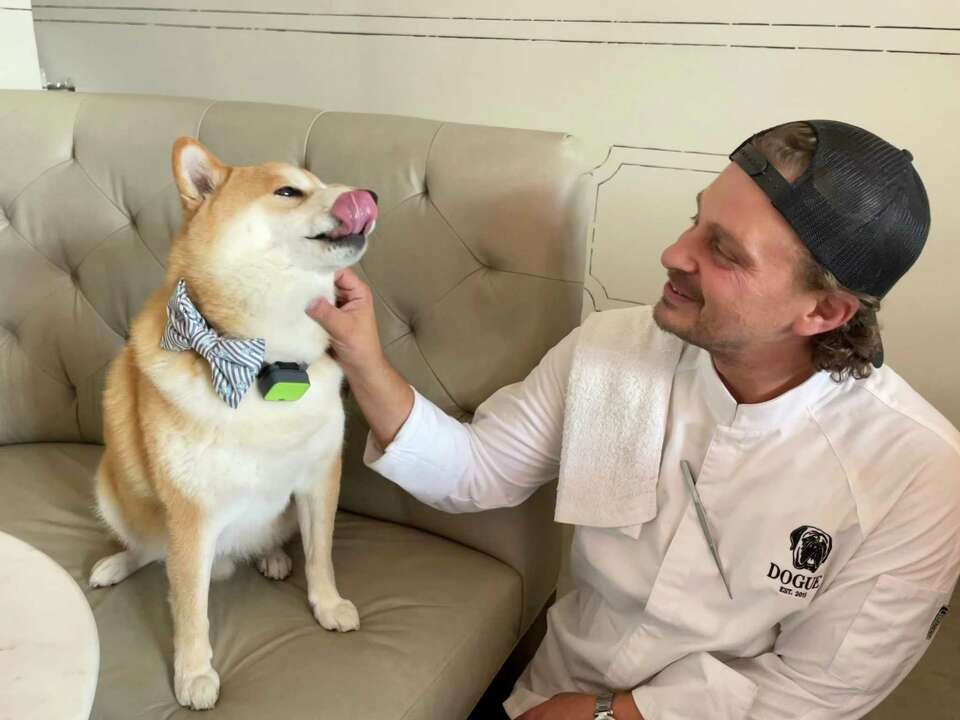 SF has a fine-dining restaurant for dogs with $75 tasting menu