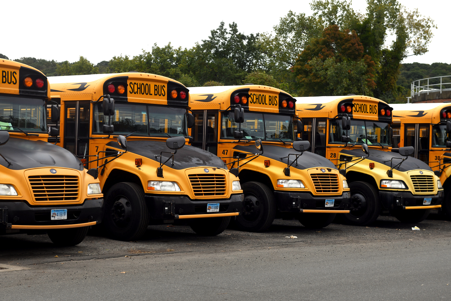 Shelton eyes purchase of used propane buses to expand fleet