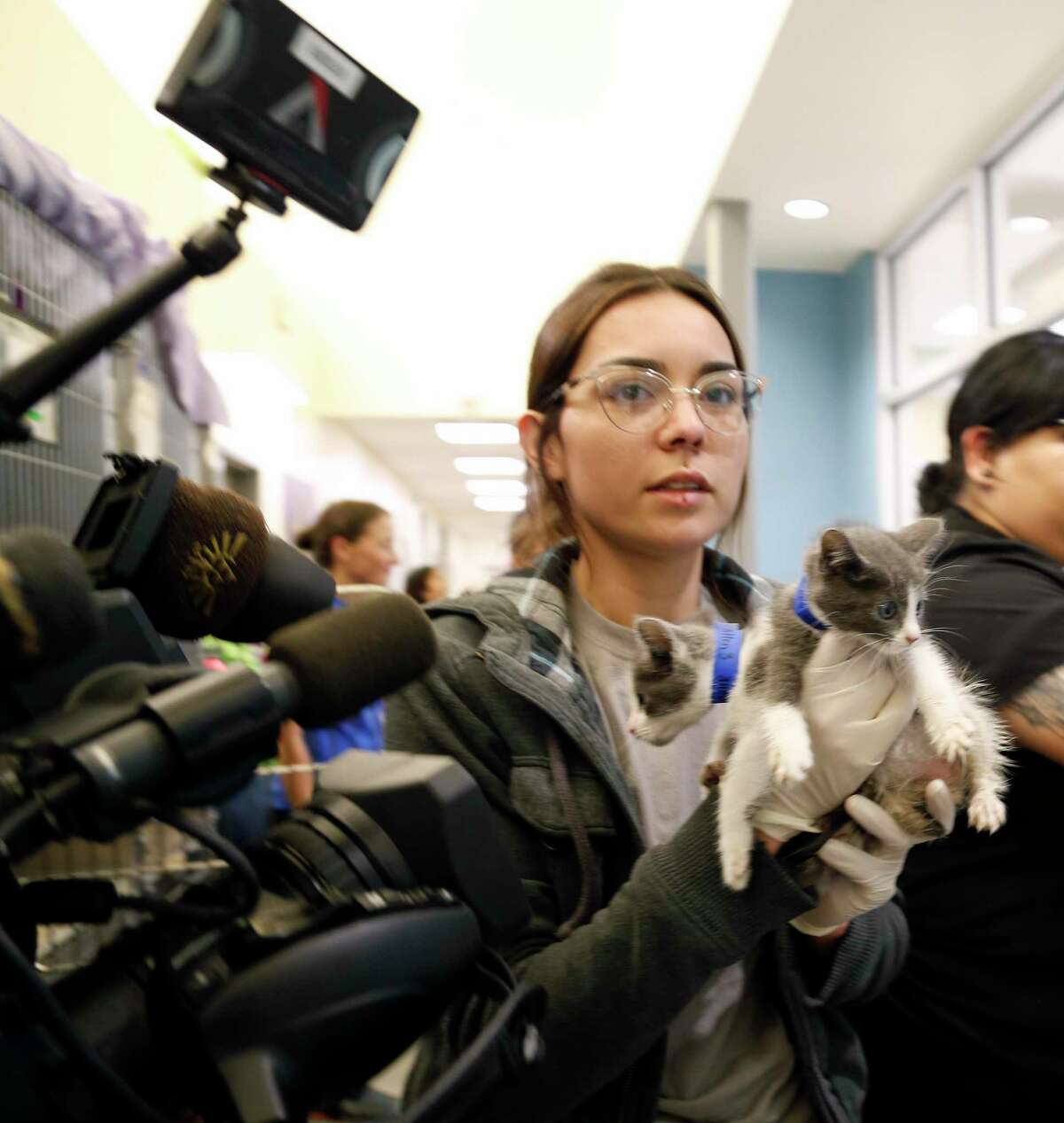 Shelter takes in 100-plus cats and dogs displaced by Hurricane Ian