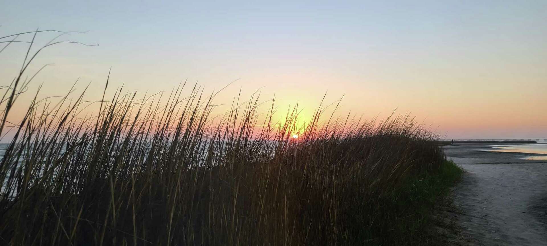 How to bring a beach vibe to your Texas Gulf Coast garden