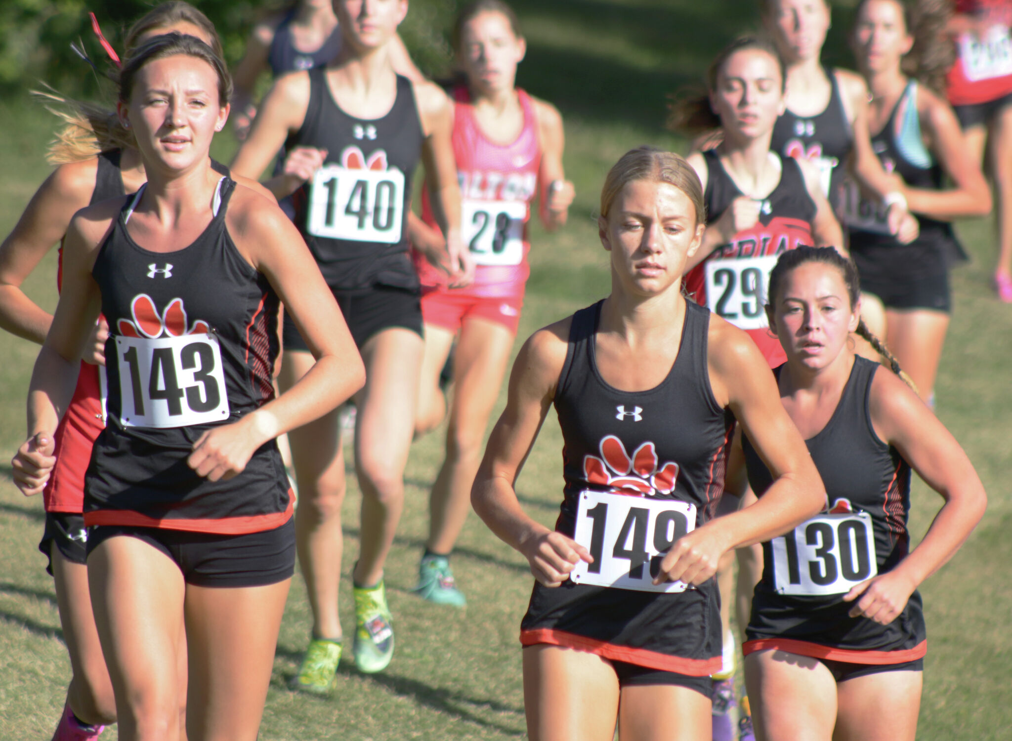 Edwardsville Tigers sweep Madison County titles