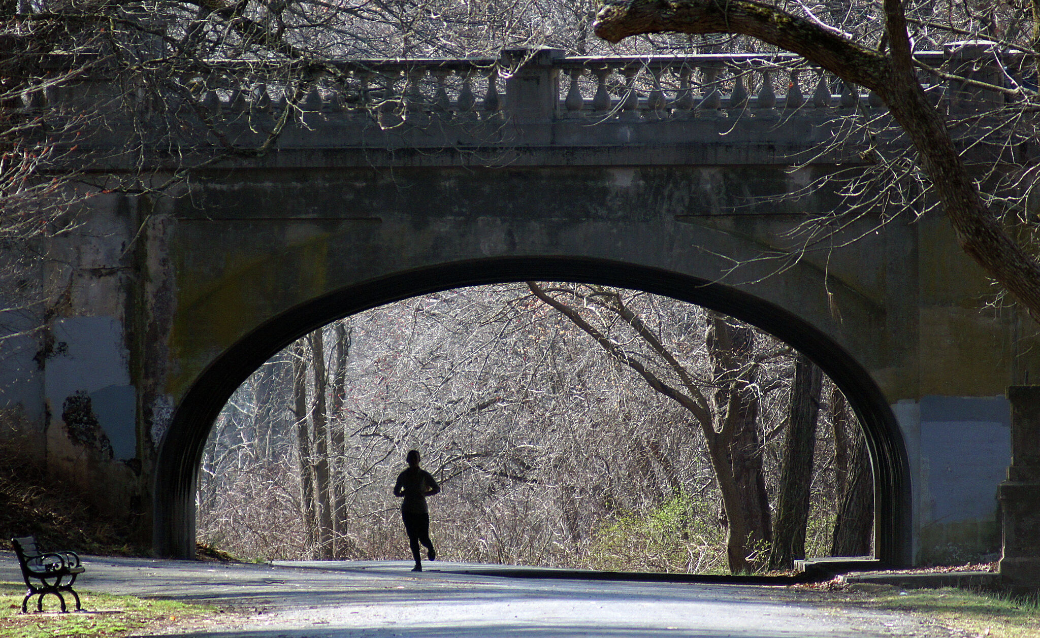 New Haven's East Rock, Edgewood, Lighthouse Point to get upgrades