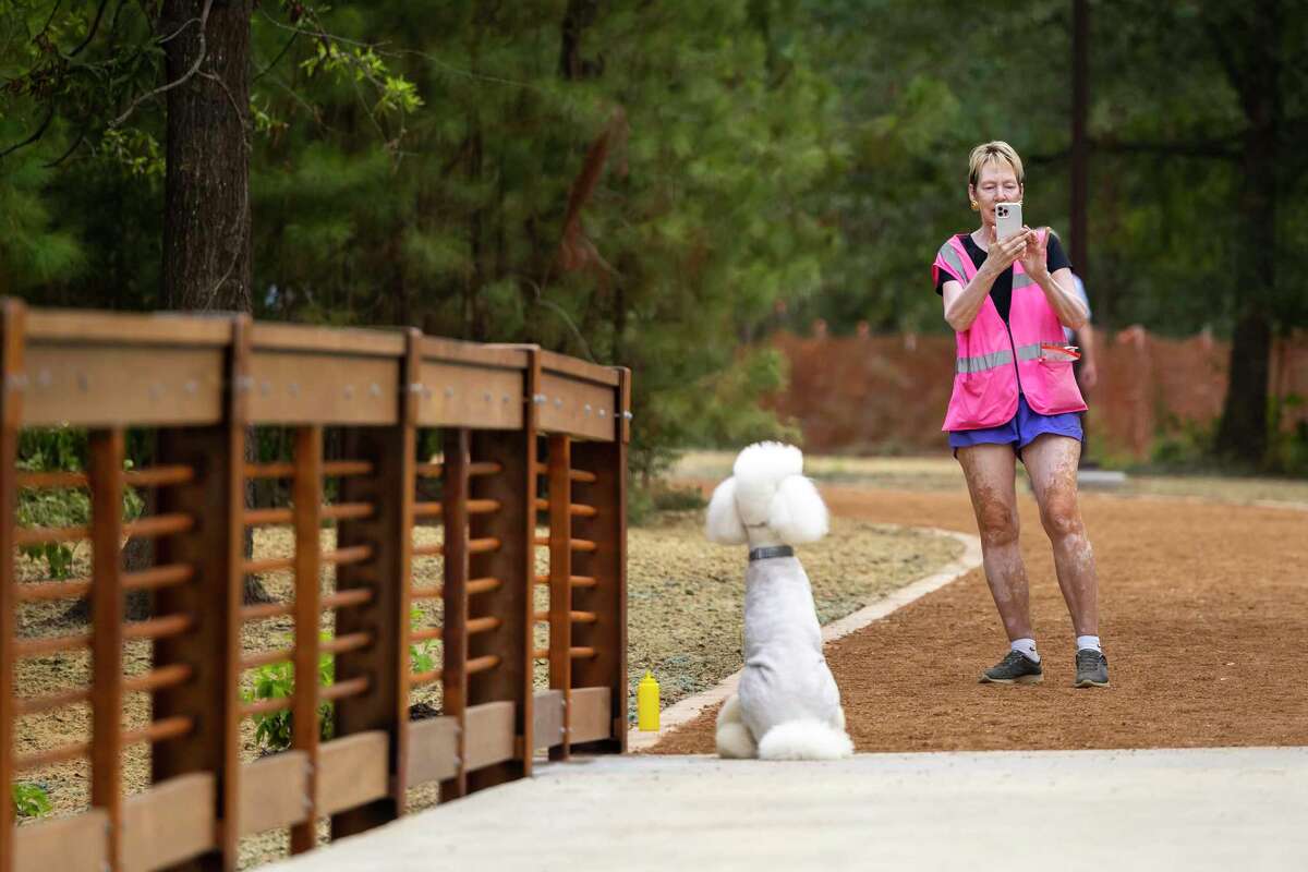 Memorial Park trail runners get a big surprise as new section of ...