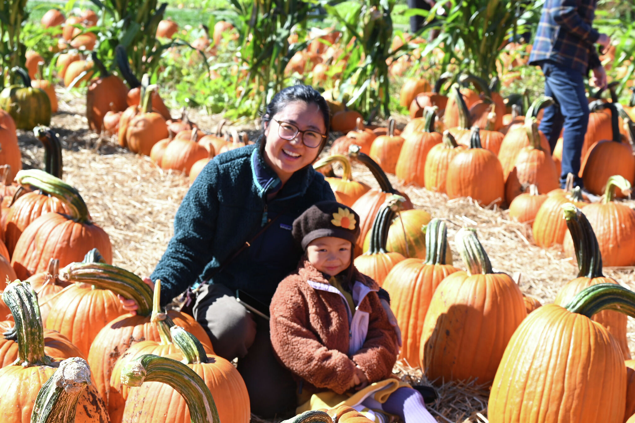 SEEN: Pumpkin Picking at Shelton’s Jones Family Farm 2022