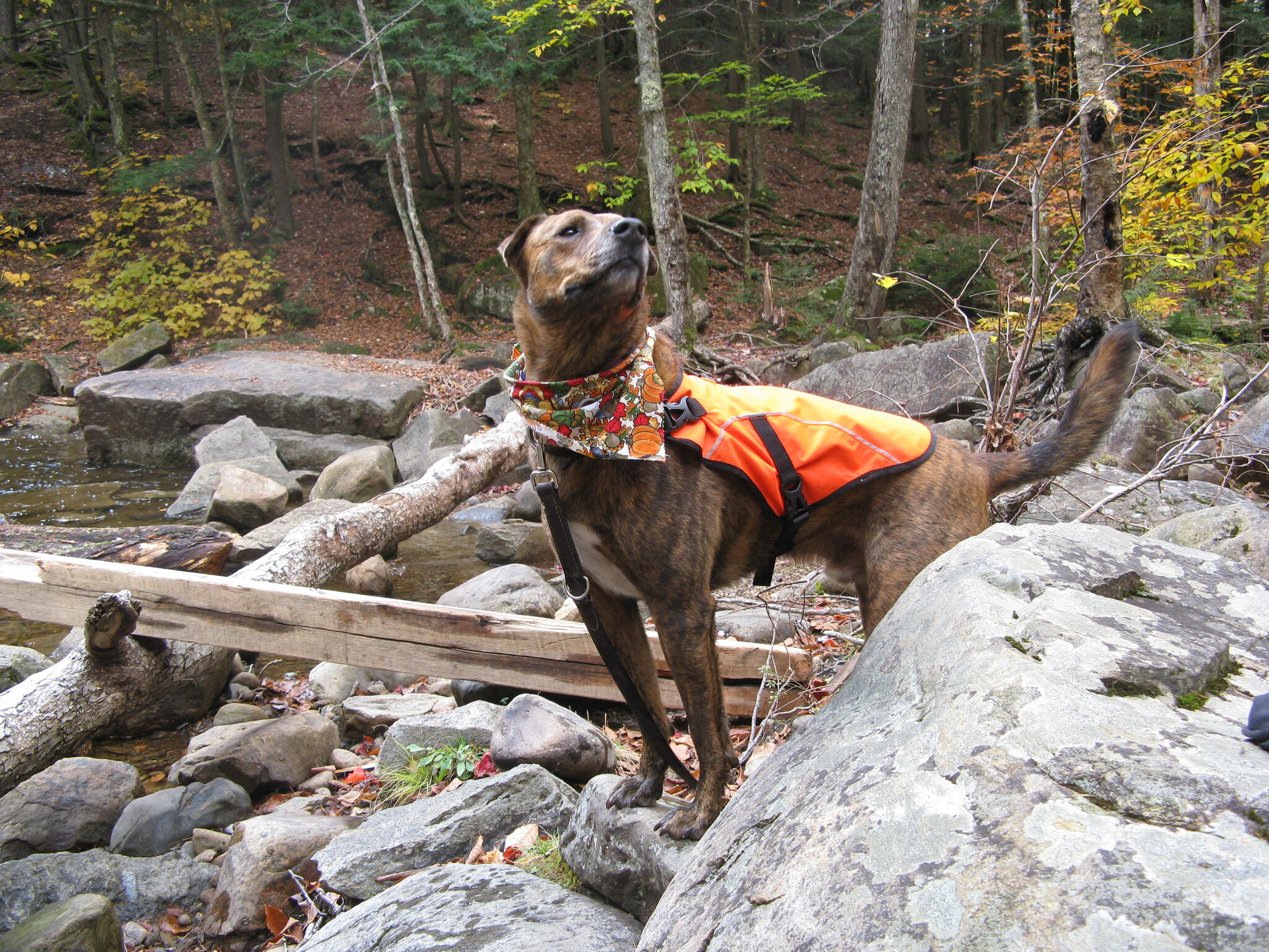 Remembering trail times with Rocky