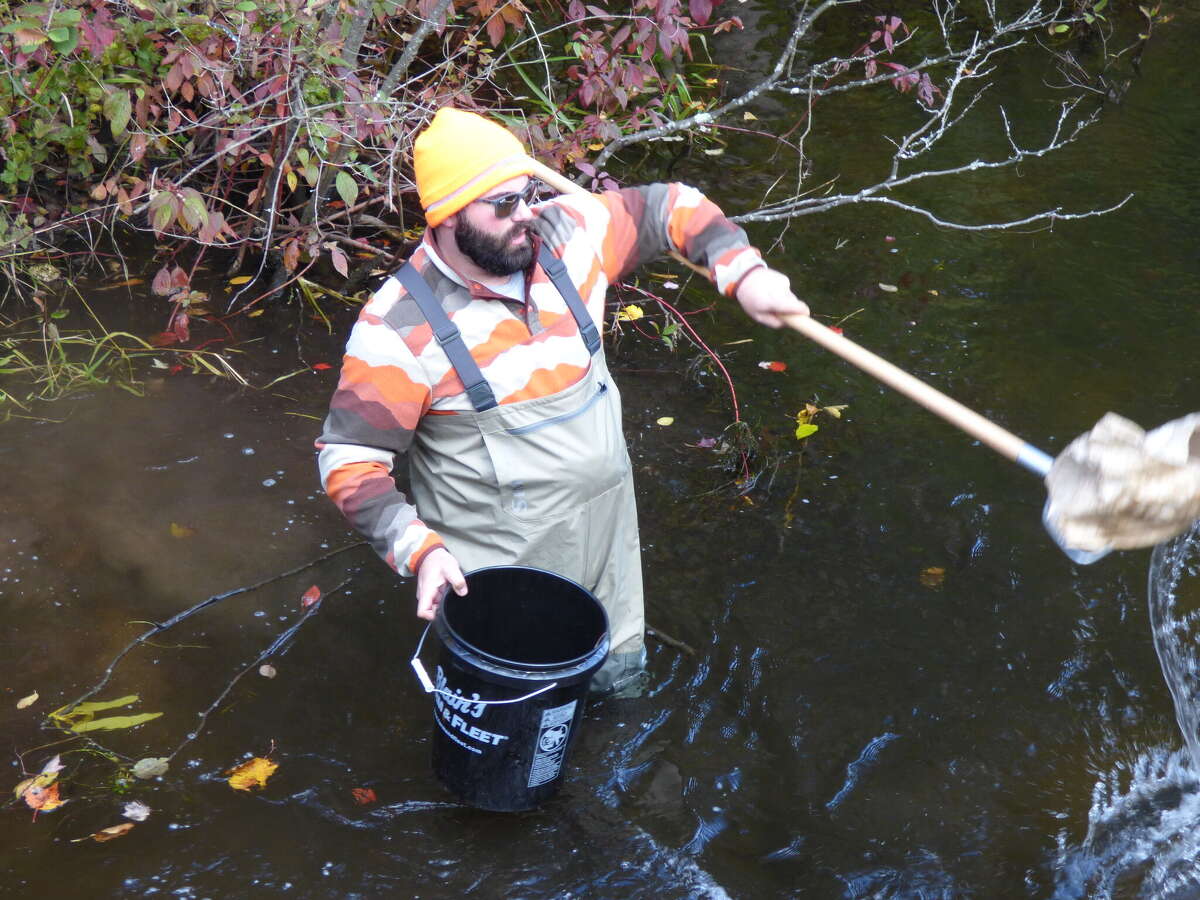 Conservation district hosts fall stream sampling event