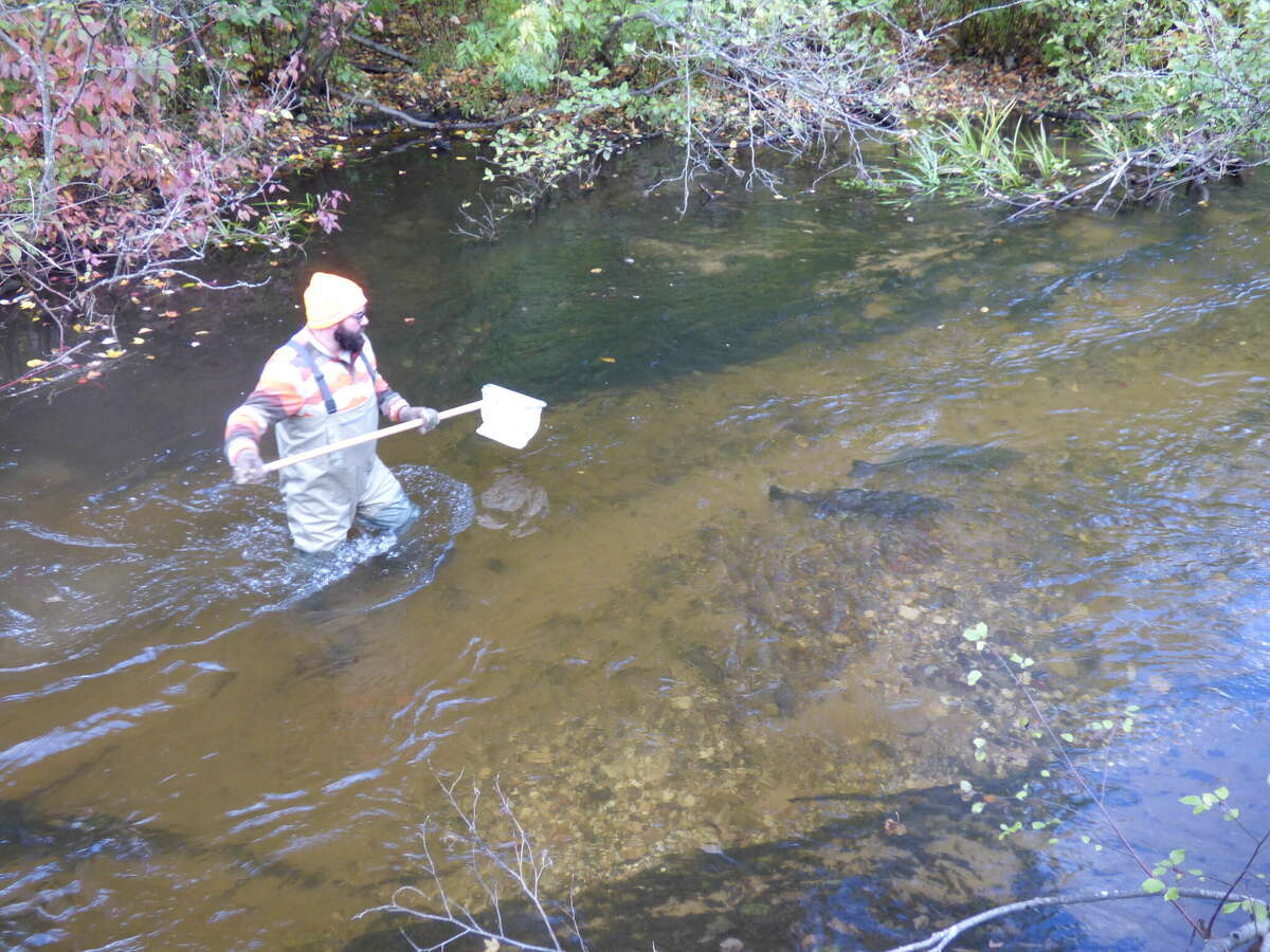 Conservation district hosts fall stream sampling event