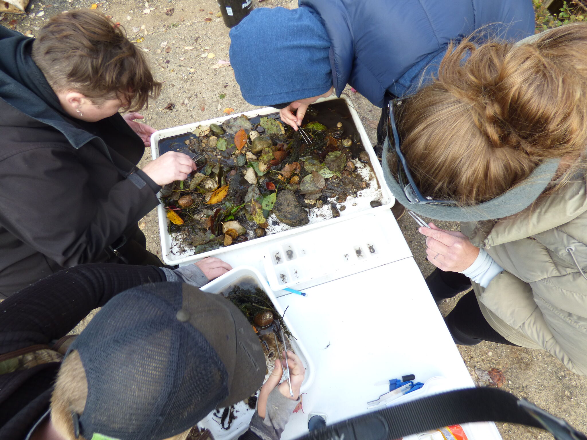 Conservation district hosts fall stream sampling event