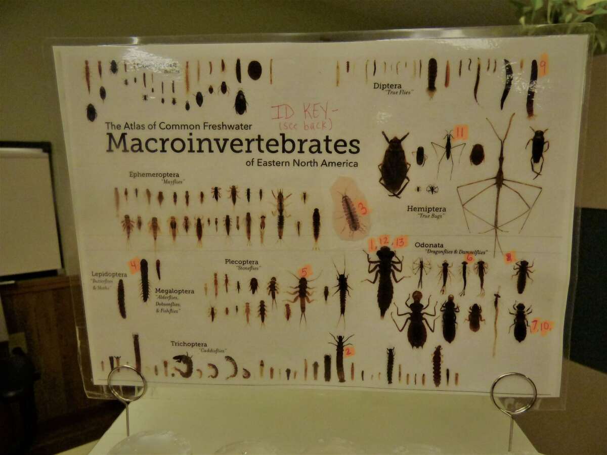 Conservation district hosts fall stream sampling event