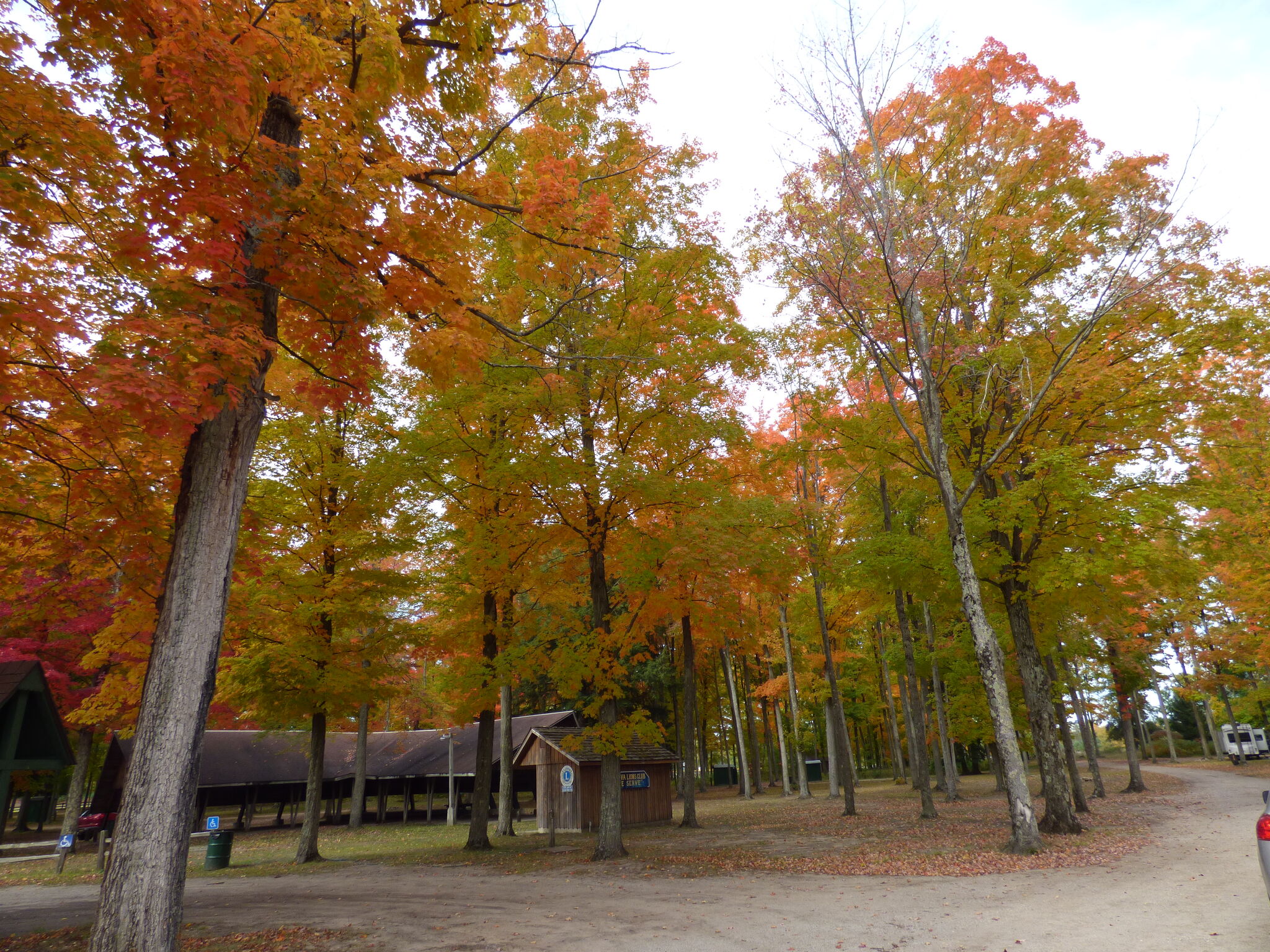 OPINION: Autumn harvest season a special time