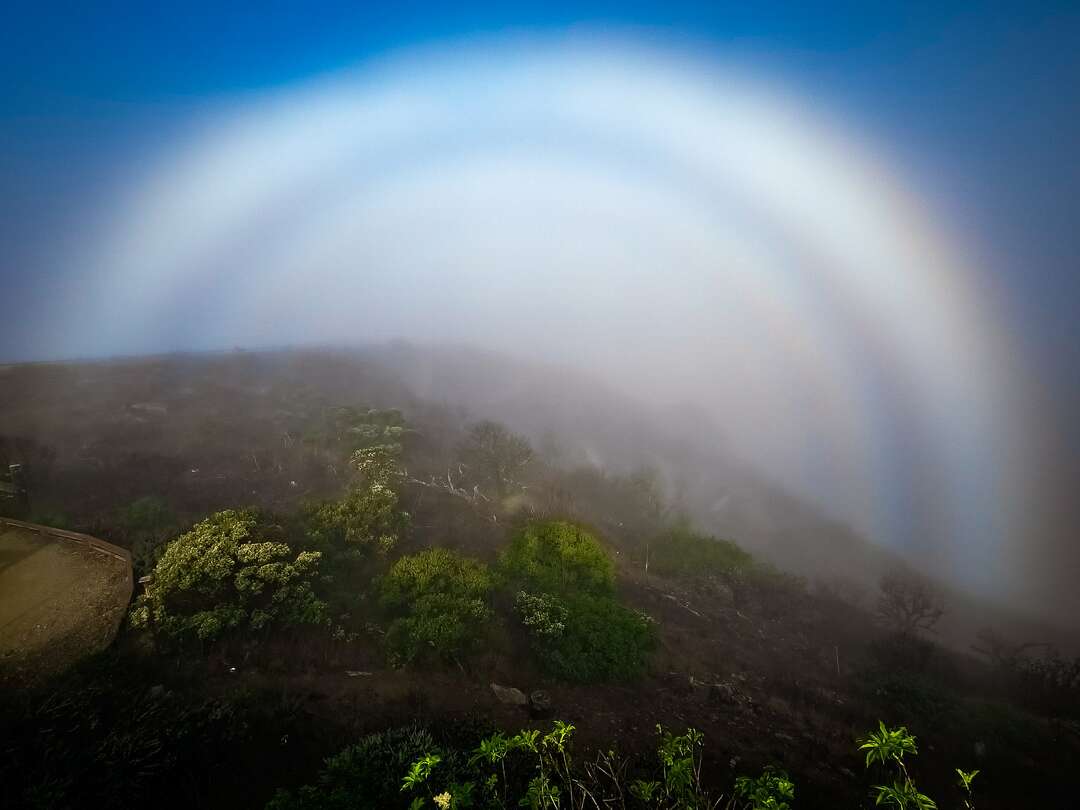 SF photographer captures rarely seen fogbow phenomenon
