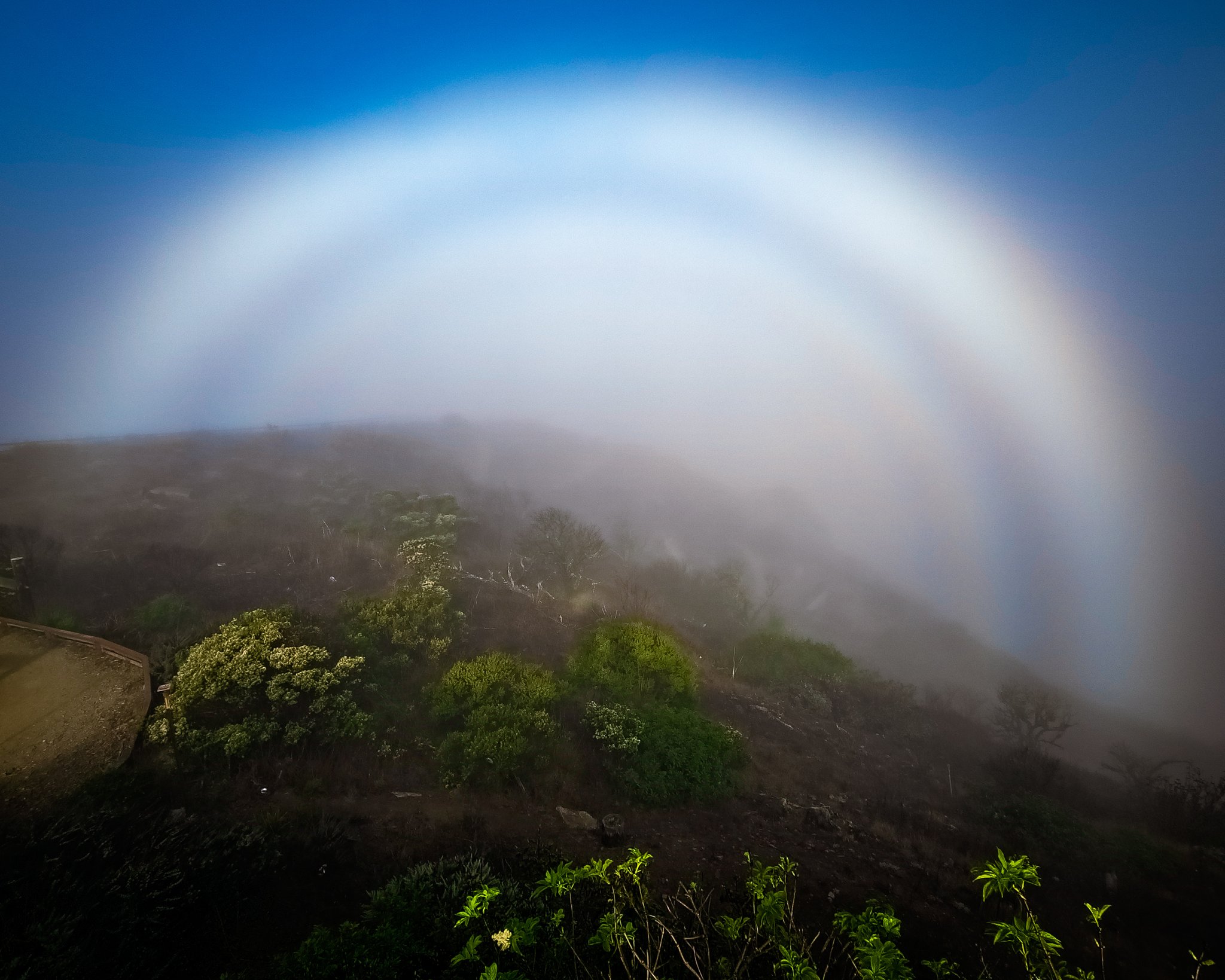 SF photographer captures rarely seen fogbow phenomenon