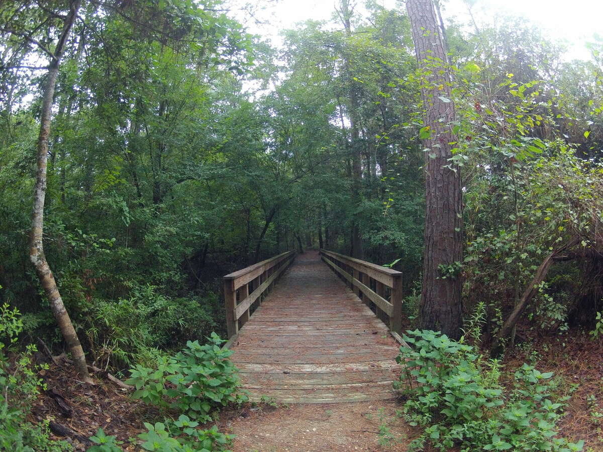 7 Questions with ... Big Thicket's Whitny Howeth