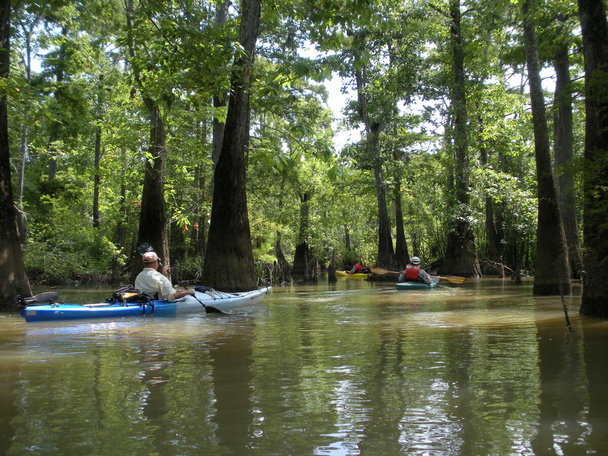 7 Questions with ... Big Thicket's Whitny Howeth