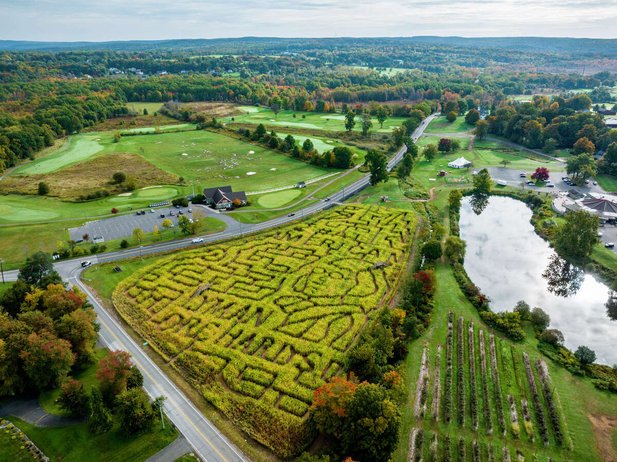 CT corn maze: Making a Ben Franklin maze at Lyman Orchards