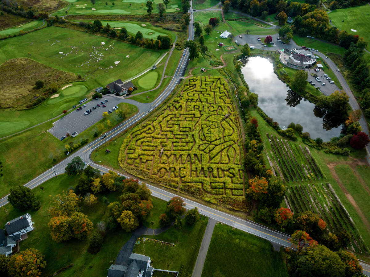 CT corn maze: Making a Ben Franklin maze at Lyman Orchards
