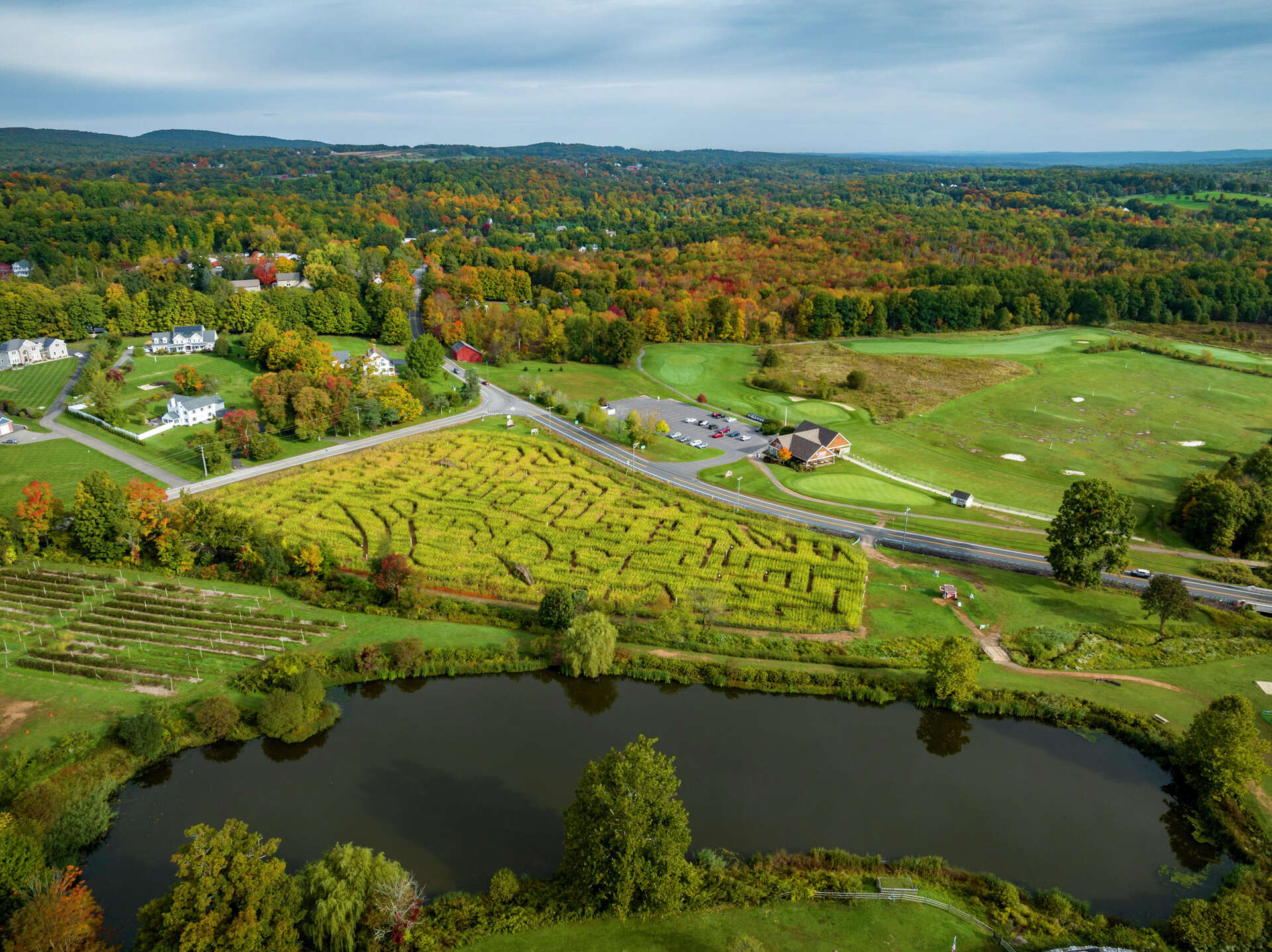 CT's Colonial-era orchards balance history and innovation
