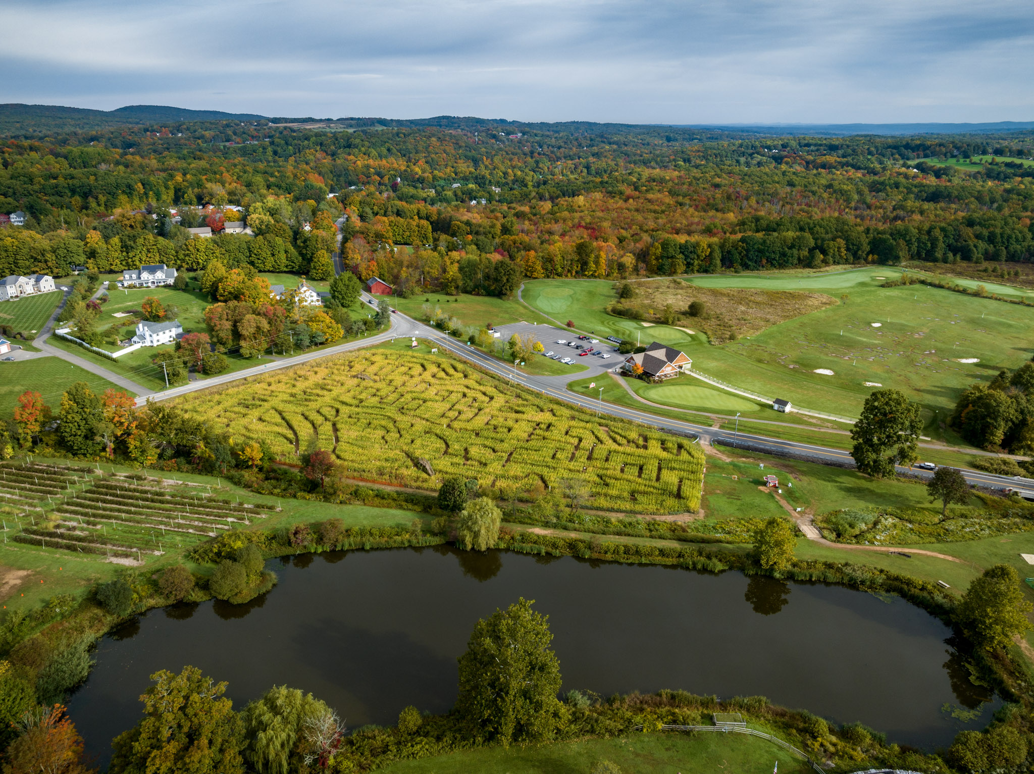 Lyman Orchards shares 2024 corn maze theme, plus other CT maze details