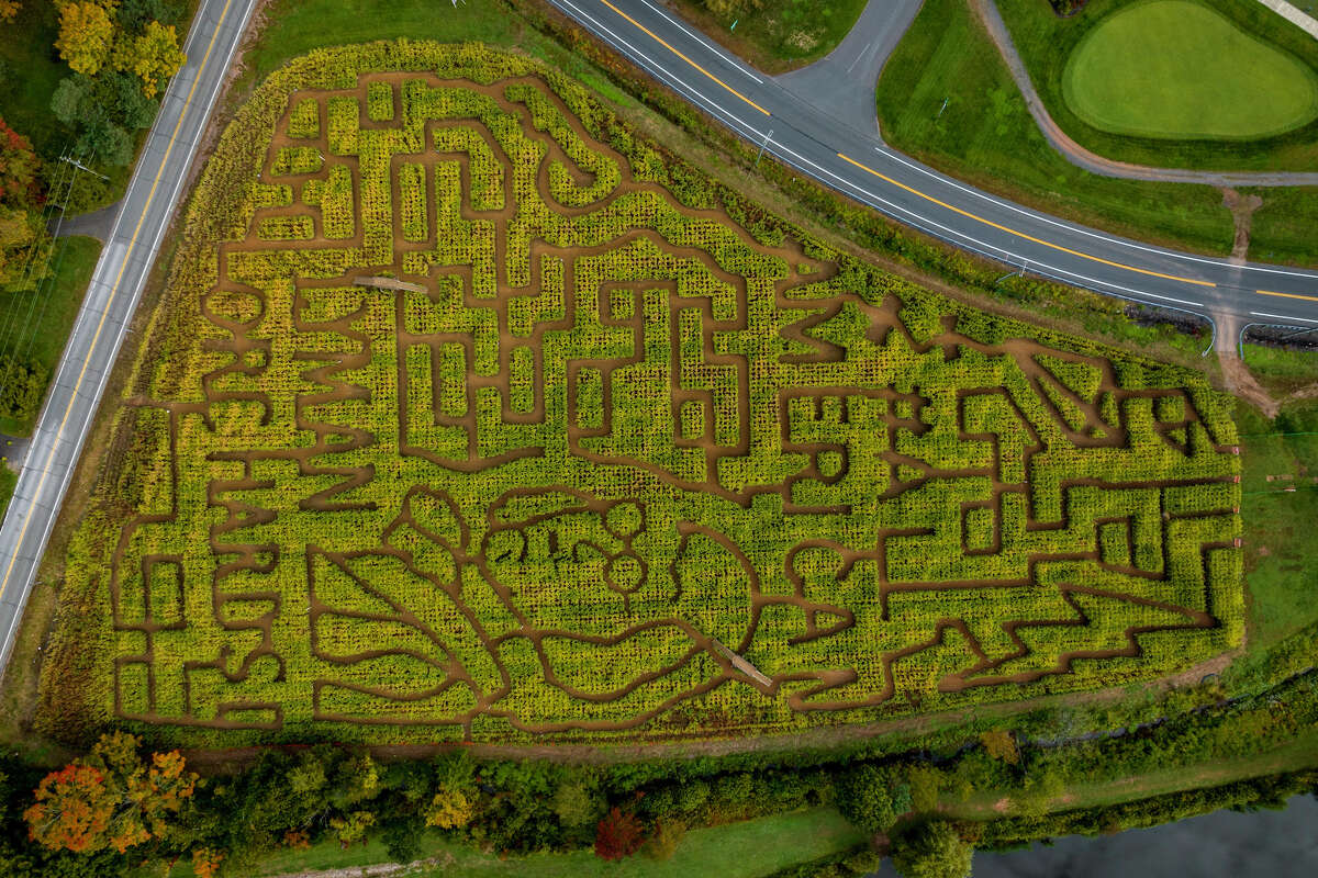 CT corn maze: Making a Ben Franklin maze at Lyman Orchards