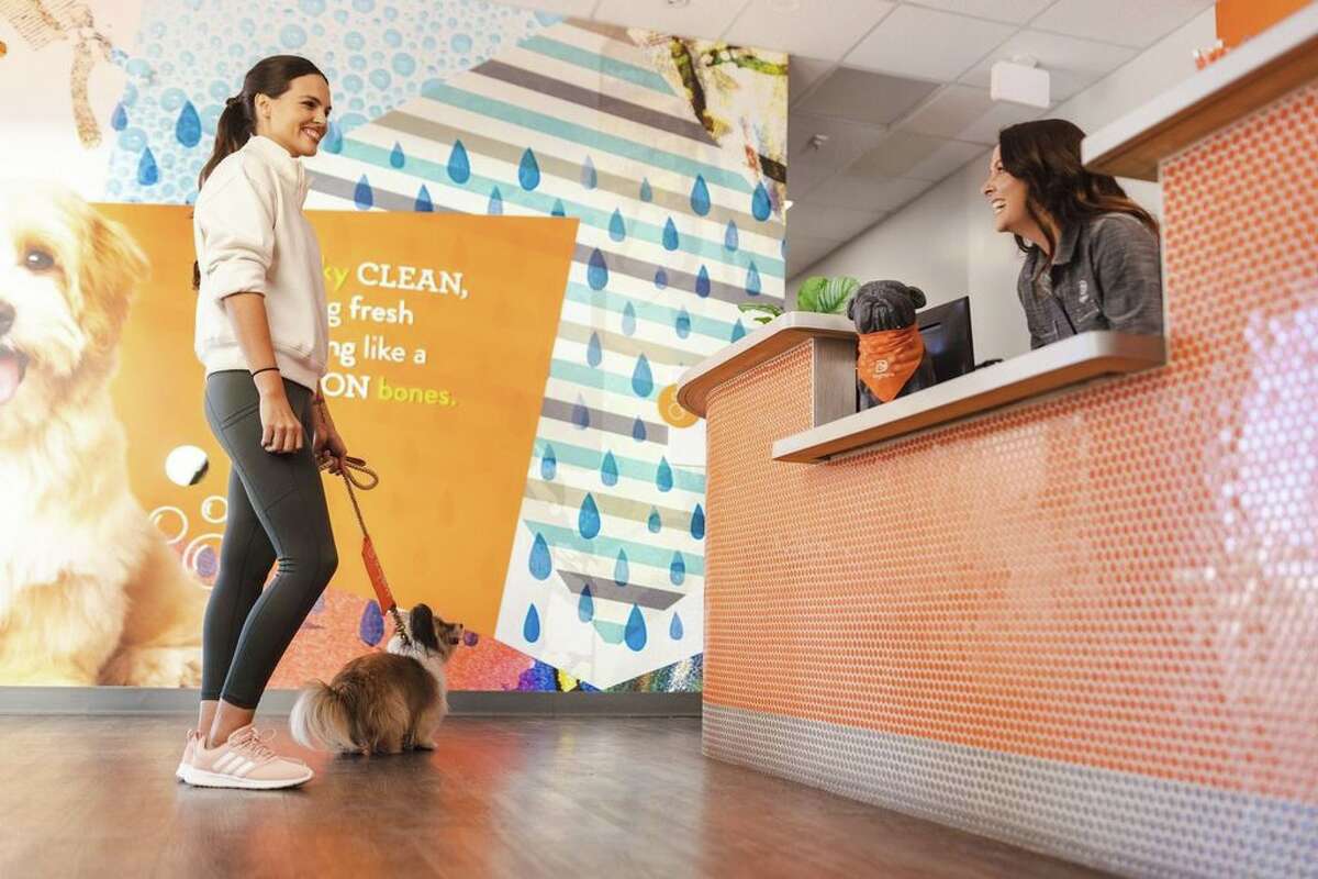 Dogtopia to open first Capital Region franchise in Latham