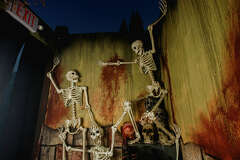 CT's Lake Compounce annual Halloween festival kicks off Saturday