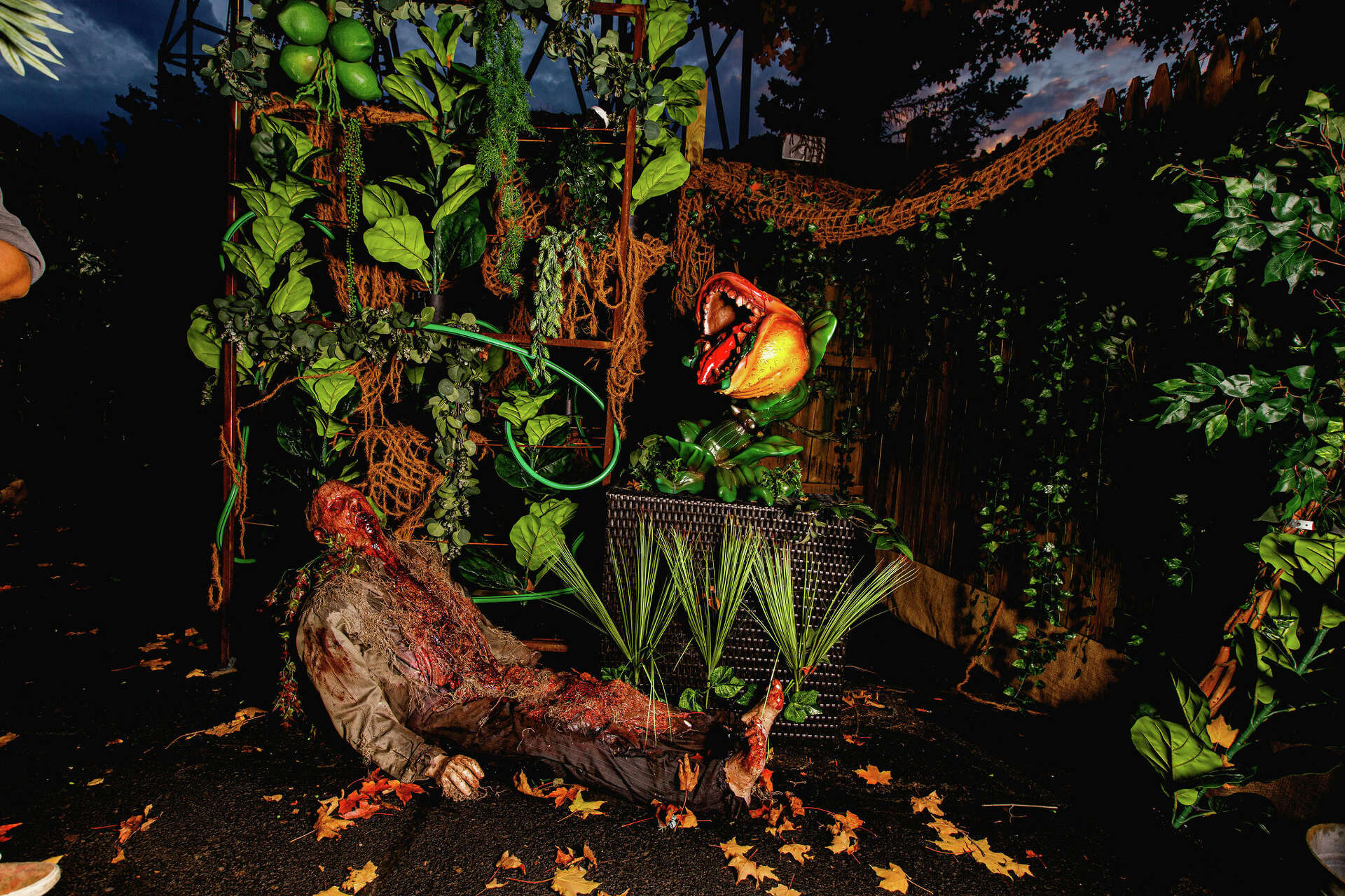 CT's Lake Compounce annual Halloween festival kicks off Saturday