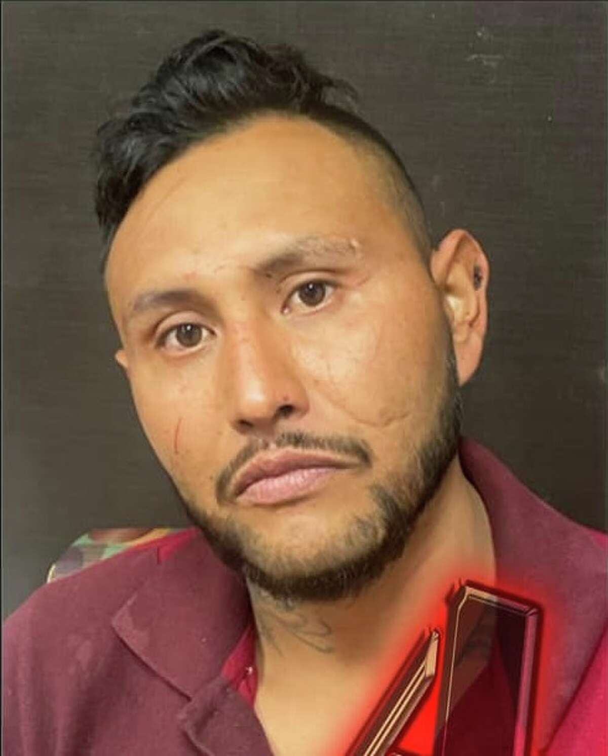 Gang members arrested for being in the country illegally