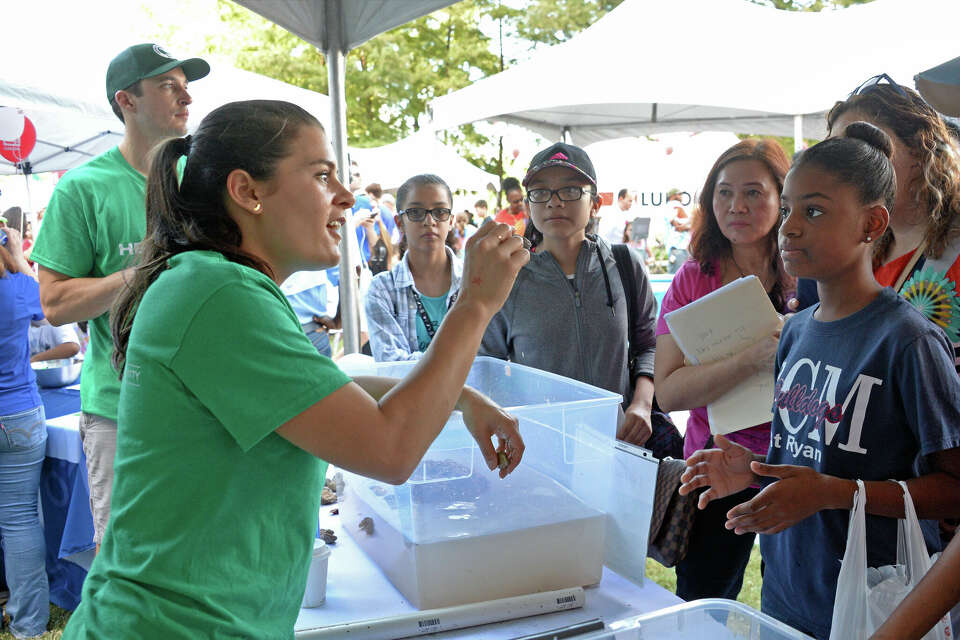 Texas festivals fall 2024: RenFest, Zoo Boo and Greek Fest